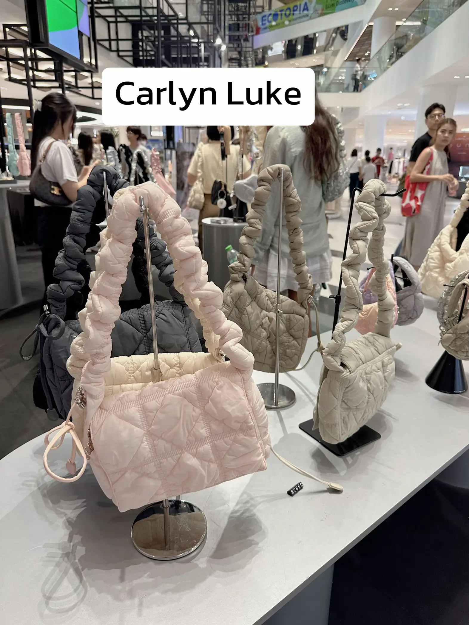 💗อัพเดทกระเป๋า CARLYN คอลใหม่ | แกลเลอรีที่โพสต์โดย Kade.journal🍃 🏻 | Lemon8