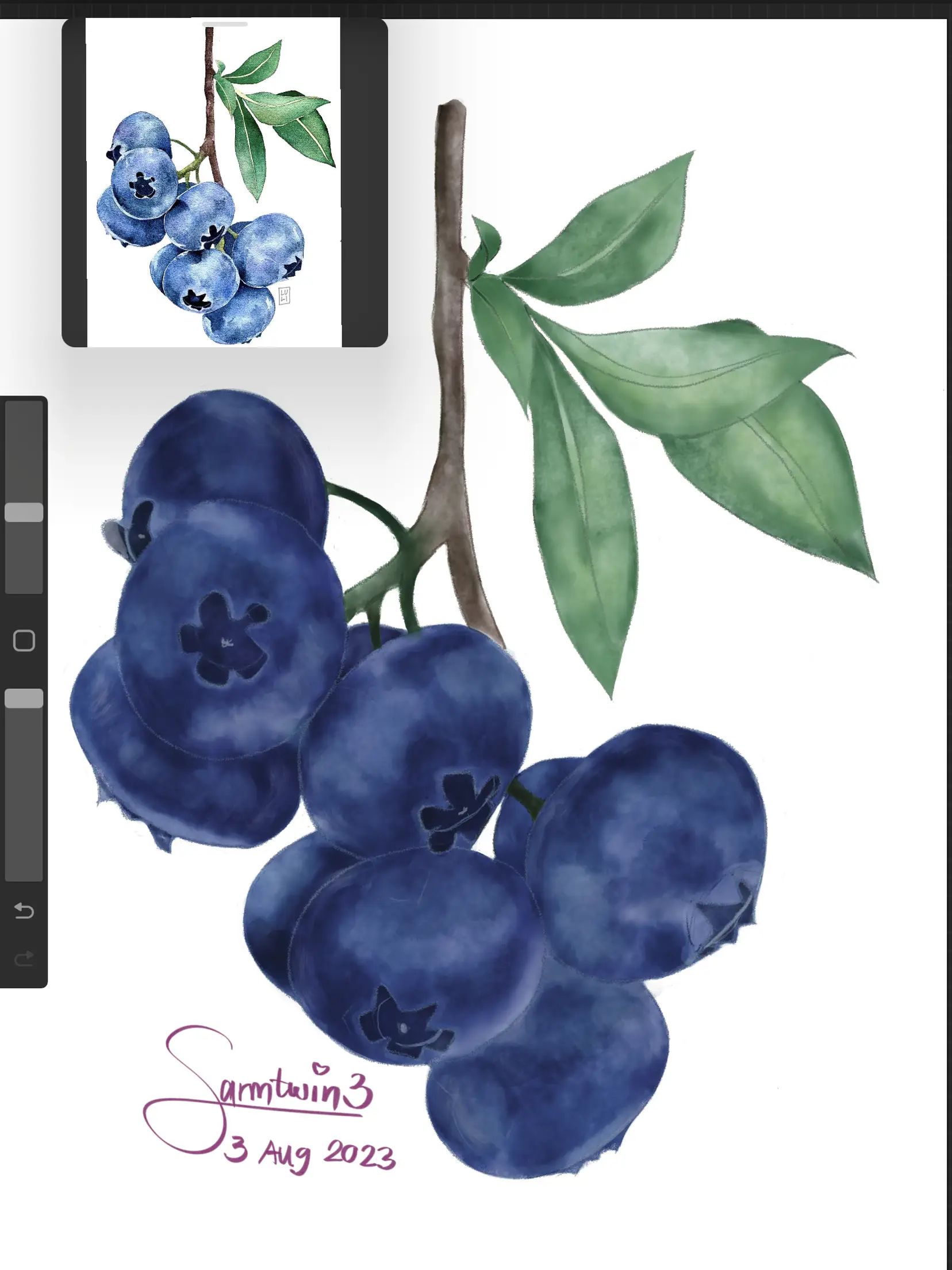 Part 2 (Finals) Blueberry Drawing | แกลเลอรีที่โพสต์โดย Sarmtwin3 | Lemon8