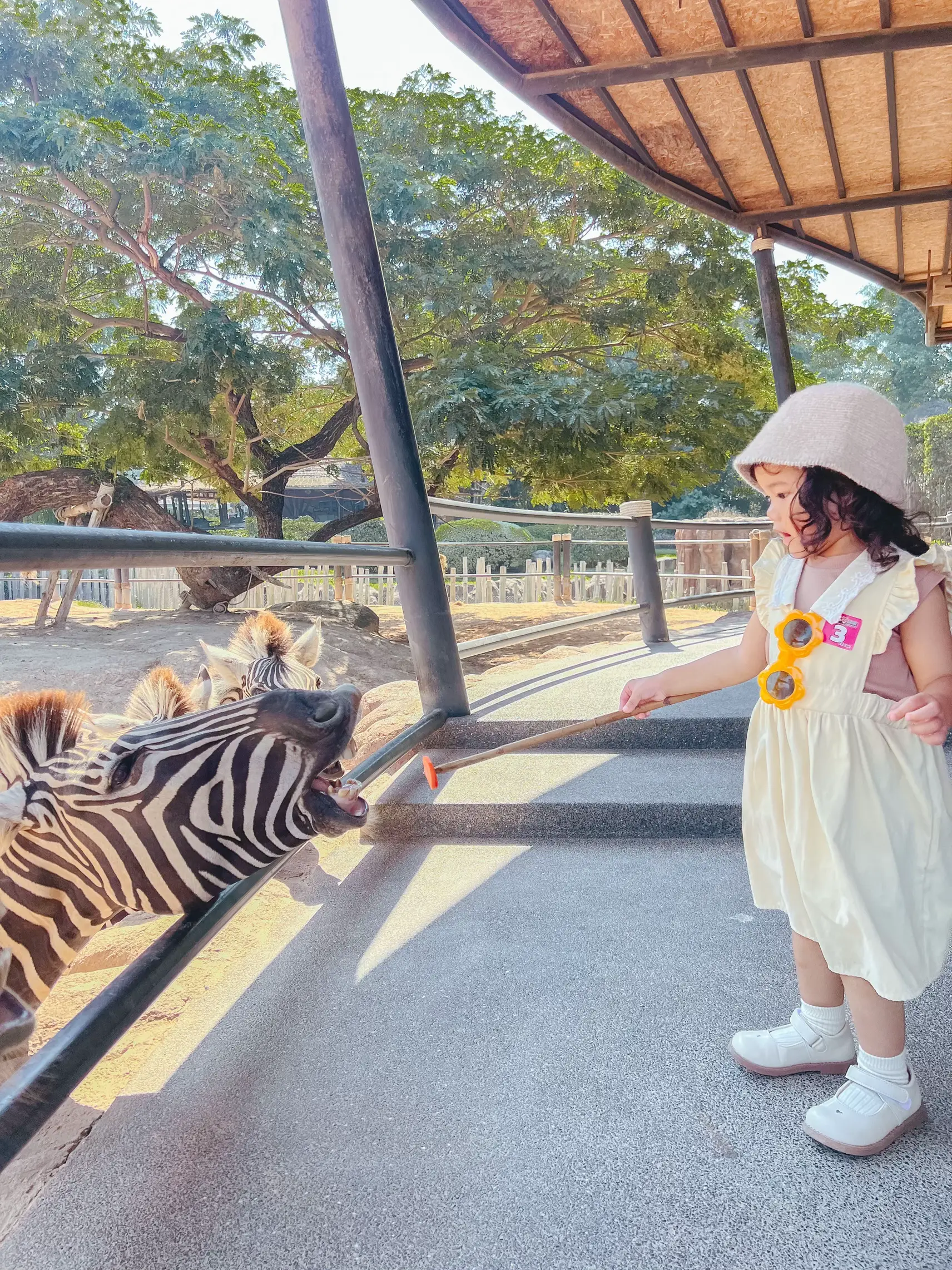 Hua Hin Safari & Adventure Park | แกลเลอรีที่โพสต์โดย Wirakornny | Lemon8