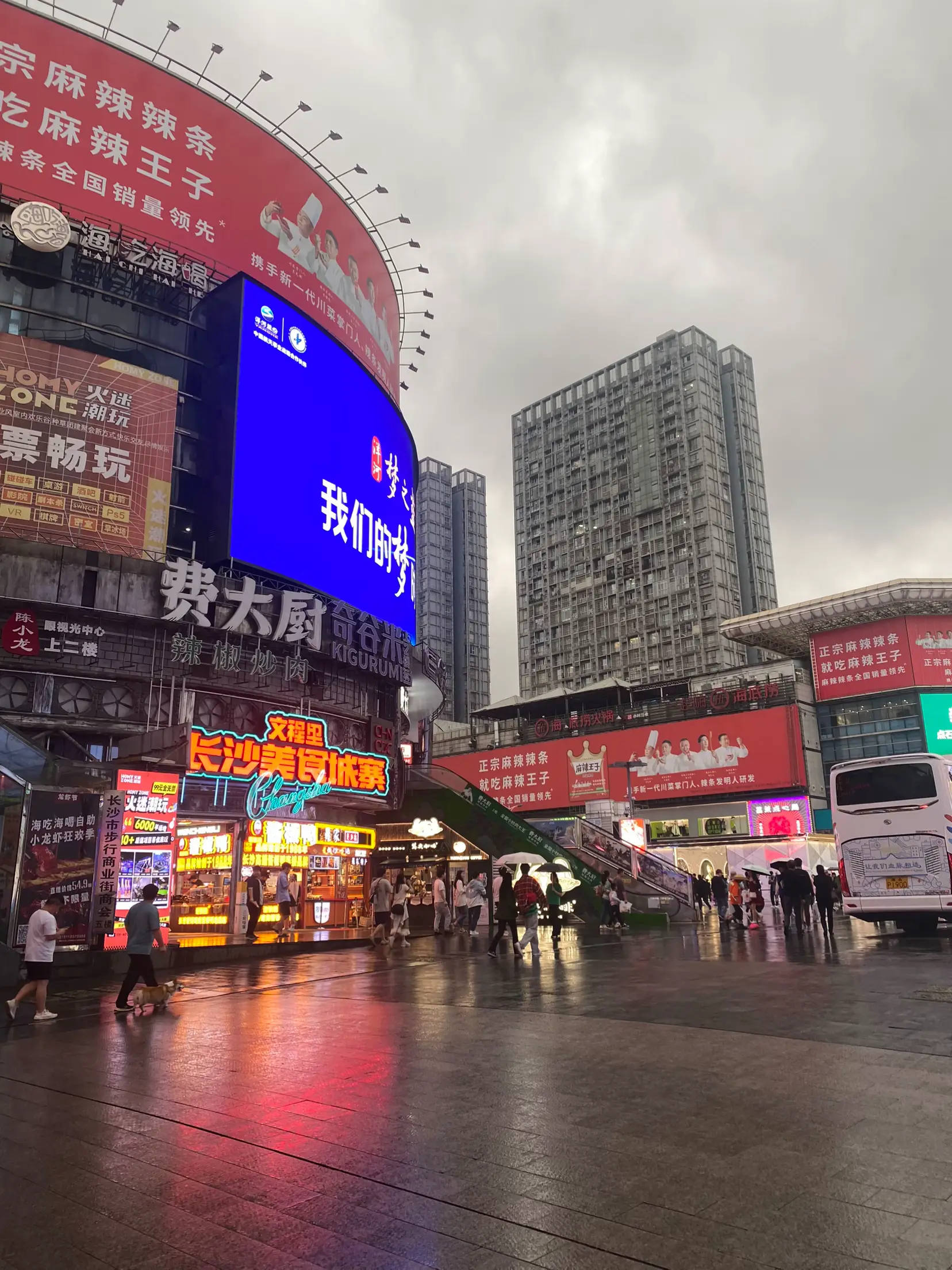 Walking street in Changsha (pedestrian street, huangxinglu) | Gallery ...
