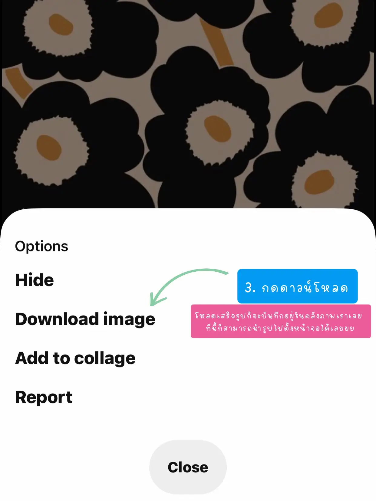 สอนบันทึกรูปในpintarestแบบpng - การค้นหาใน Lemon8