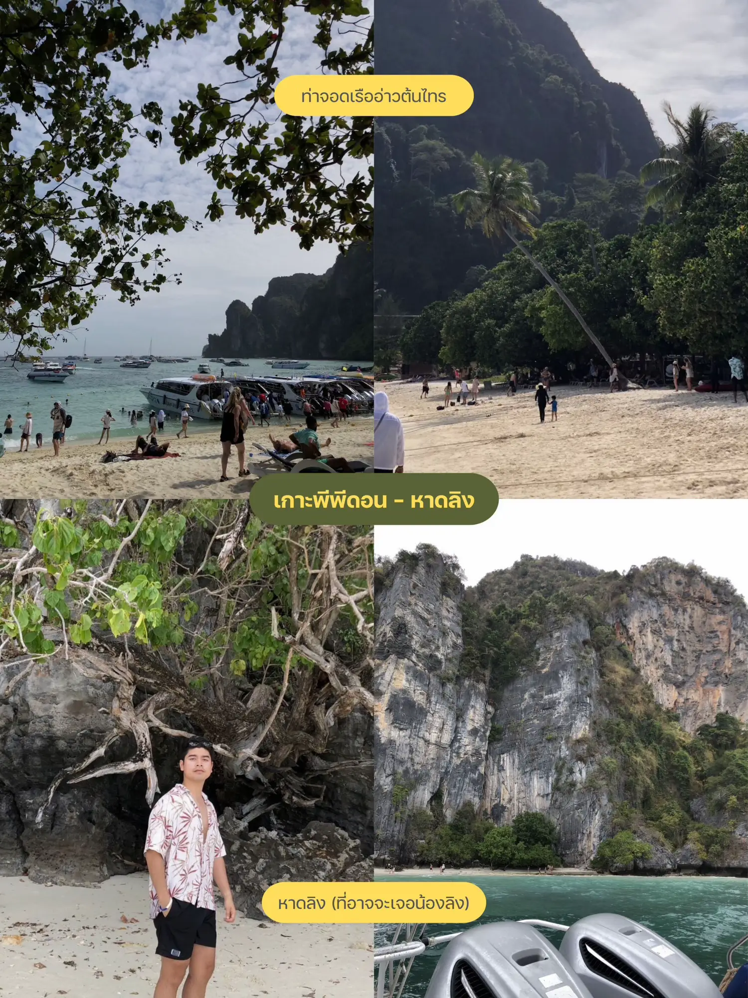 #เที่ยวหน้าร้อน แชร์พิกัดที่เที่ยวเกาะพีพี ไปแล้วต้องแวะเช็คอิน 🤿🏝️🌊 | แกลเลอรีที่โพสต์โดย ...