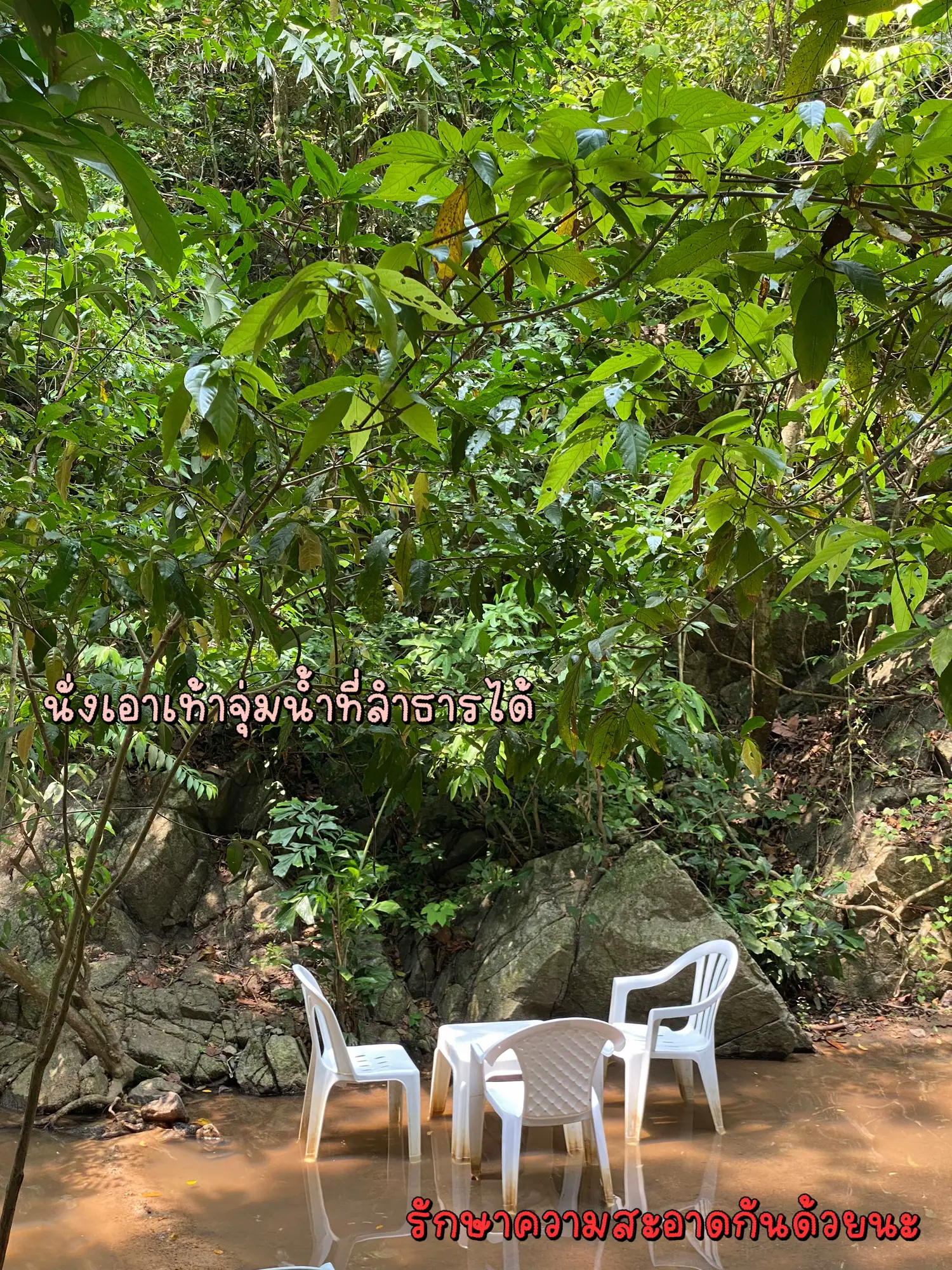 The hidden fallsในสวนลับ | แกลเลอรีที่โพสต์โดย pareem💖 | Lemon8