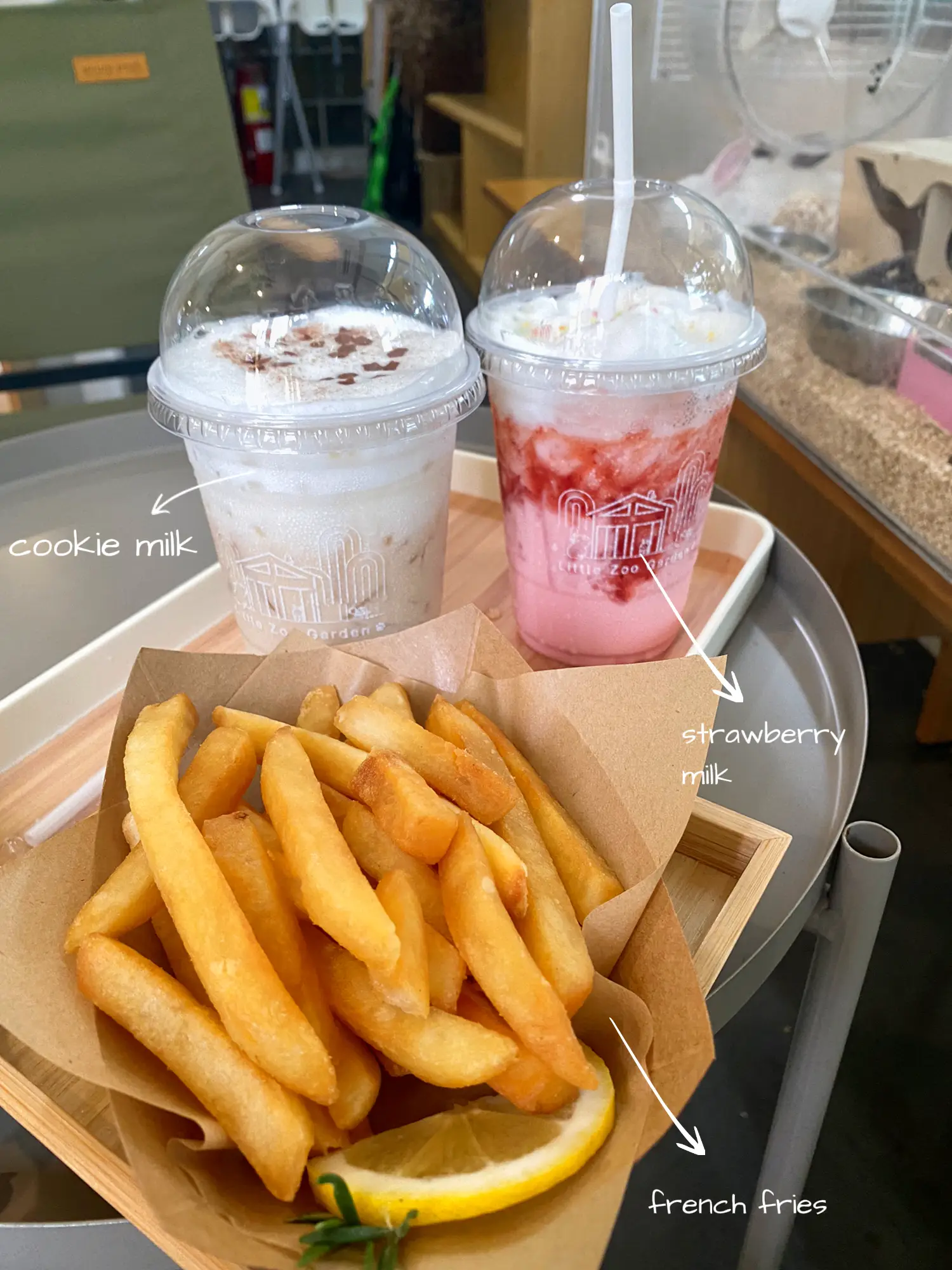 capybara cafe in bangkok?! - bkk | Gallery posted by nat | Lemon8
