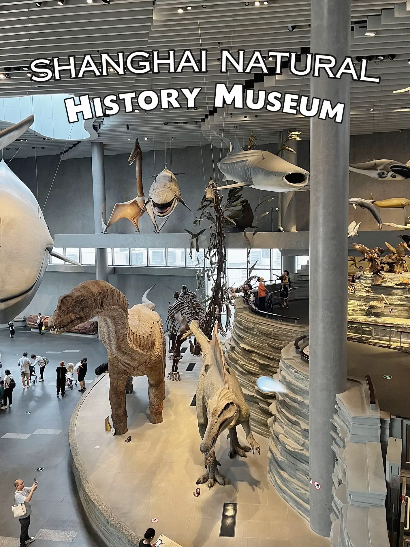 เซี่ยงไฮ้ประวัติศาสตร์ธรรมชาติ | 2024 ประสบการณ์ผู้ใช้จริงบน Lemon8