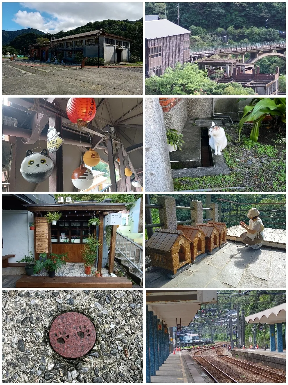 ตามหาน้องแมว..เหมี๊ยวว @Houtong Cat Village | แกลเลอรีที่โพสต์โดย PuJah ...