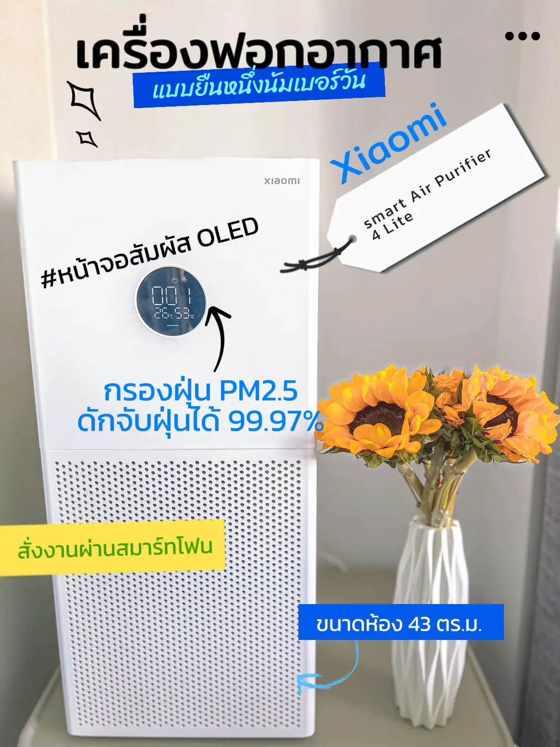 หนูขอรีวิว: ไอเท็มเด็ดพิชิต PM2.5 | แกลเลอรีที่โพสต์โดย Bunny’s Diary | Lemon8