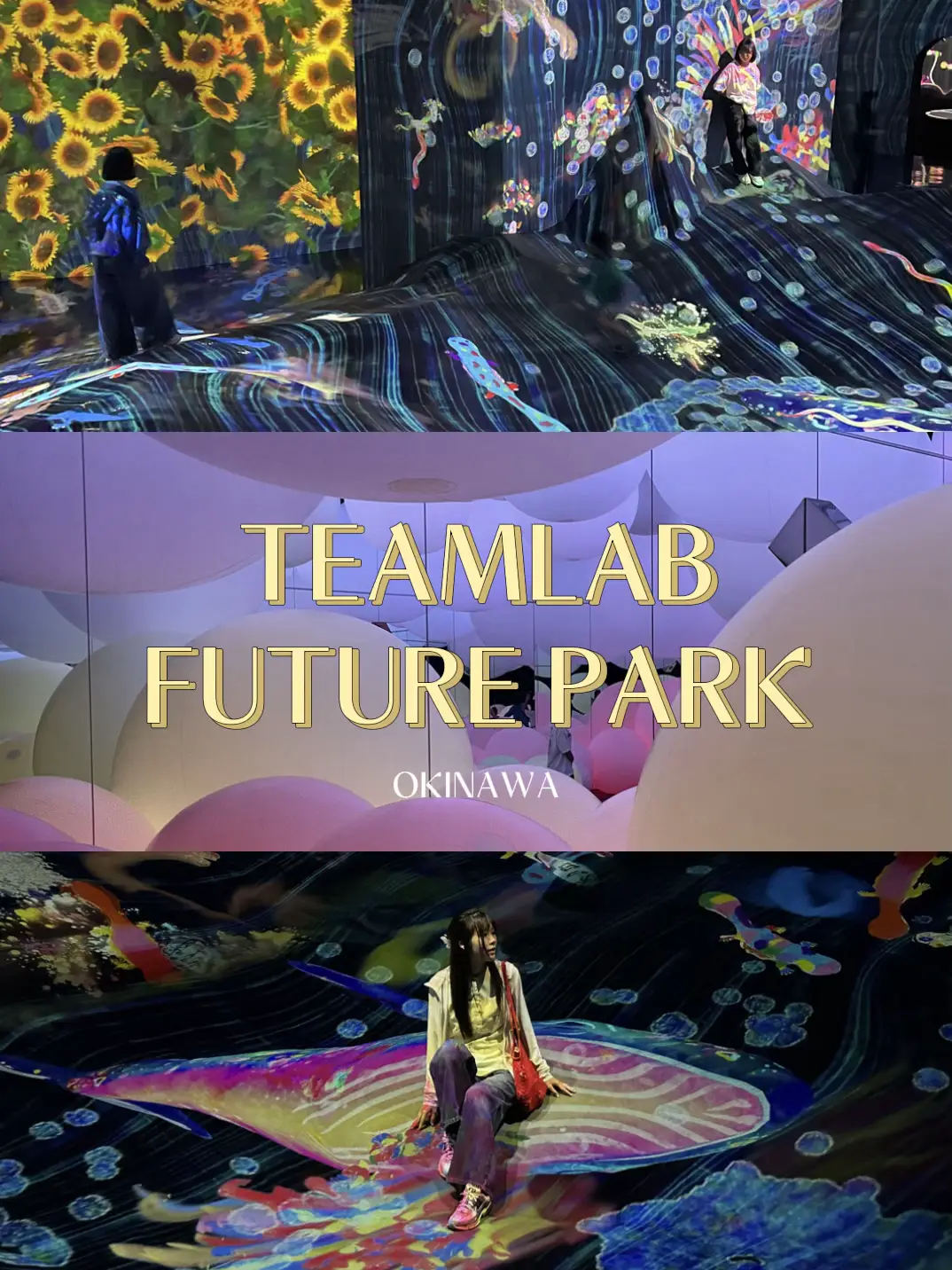 Teamlab Future Park 🐋 OKINAWA 🐠 ศิลปะสัมผัสได้ 🎨 | แกลเลอรีที่โพสต์โดย Beam Thornnaree | Lemon8