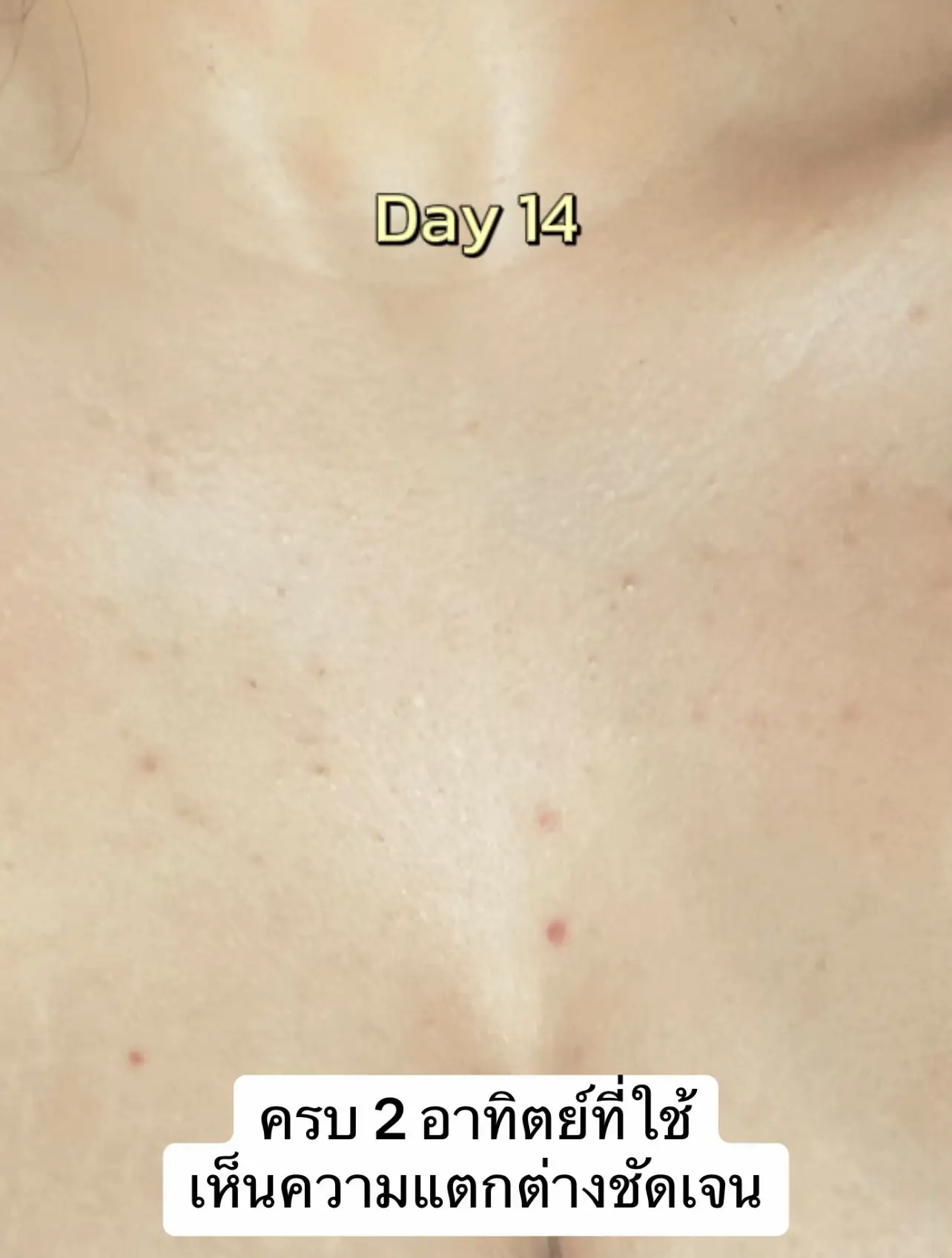 ปังเกินคุณน้า !! | แกลเลอรีที่โพสต์โดย Maprang Chaya | Lemon8