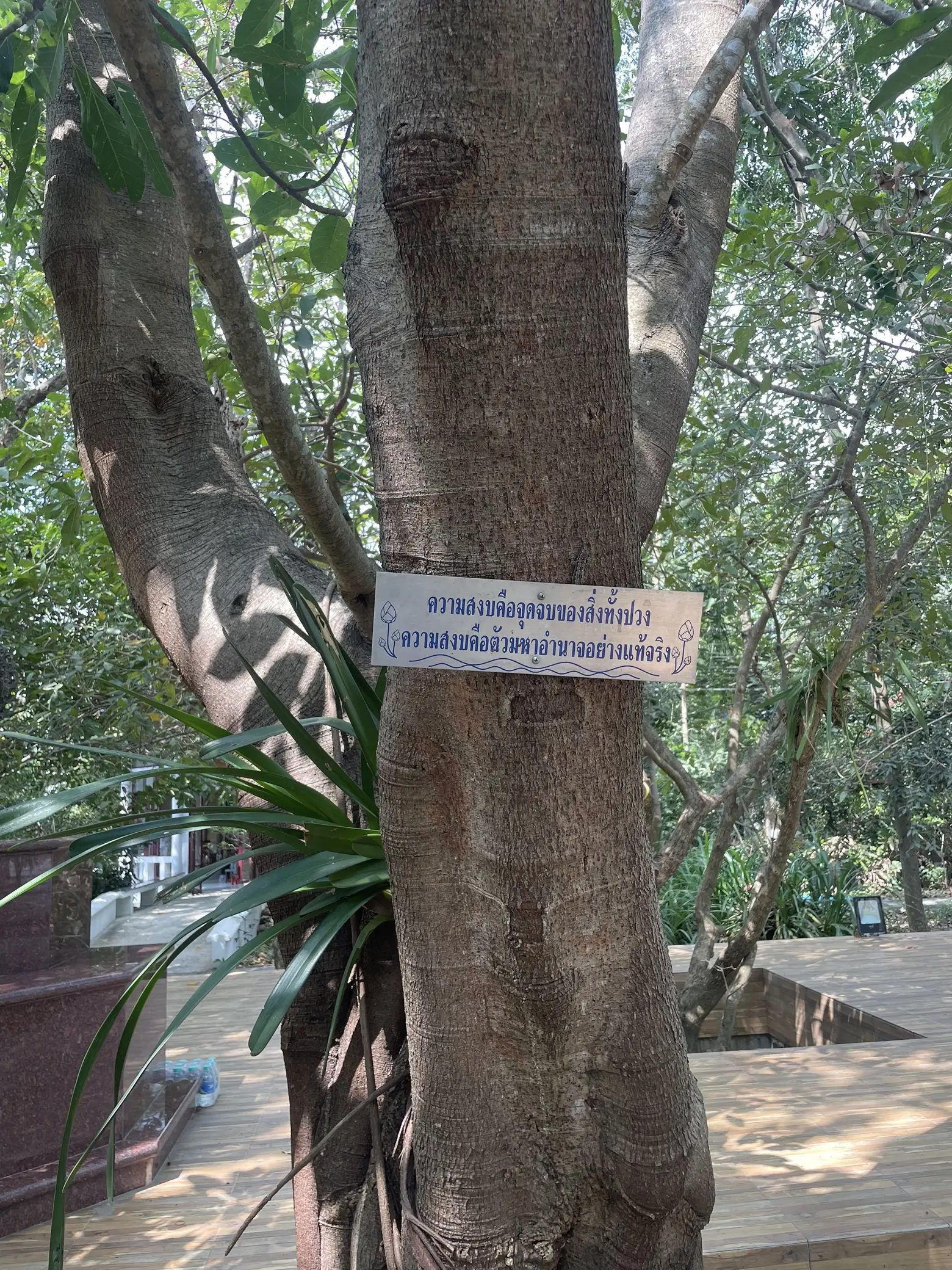 บวชชีพราหมณ์ครั้งแรกคนเดียว😇 | แกลเลอรีที่โพสต์โดย Ploy.nalyn | Lemon8