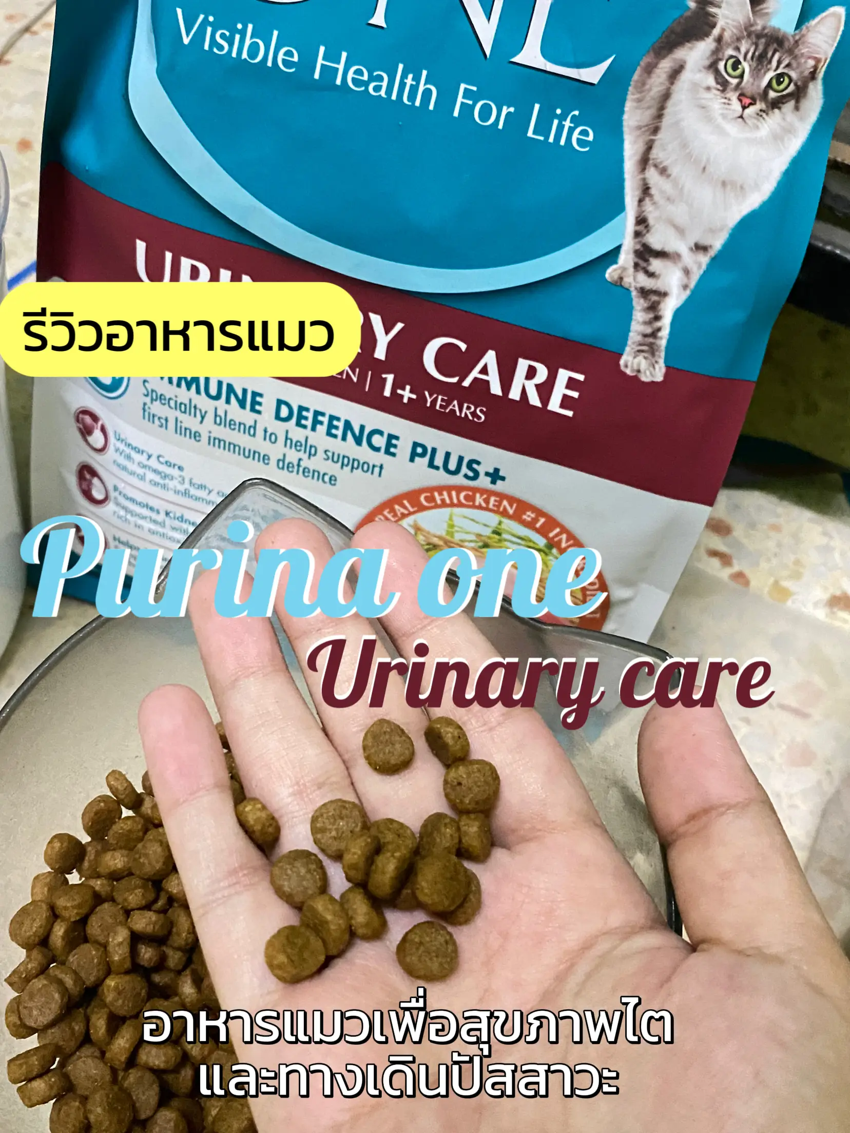 Purina one Urinary care สูตรดูแลไต 🐱 | แกลเลอรีที่โพสต์โดย ...