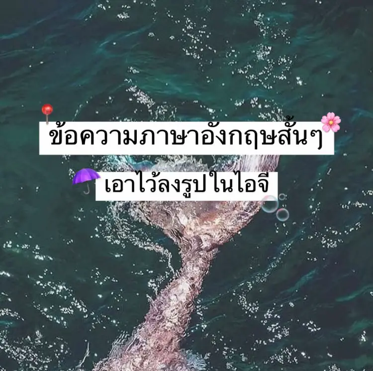 สอนใส่ข้อความในรูปภาพไอจี 2024 ประสบการณ์ผู้ใช้จริงบน Lemon8