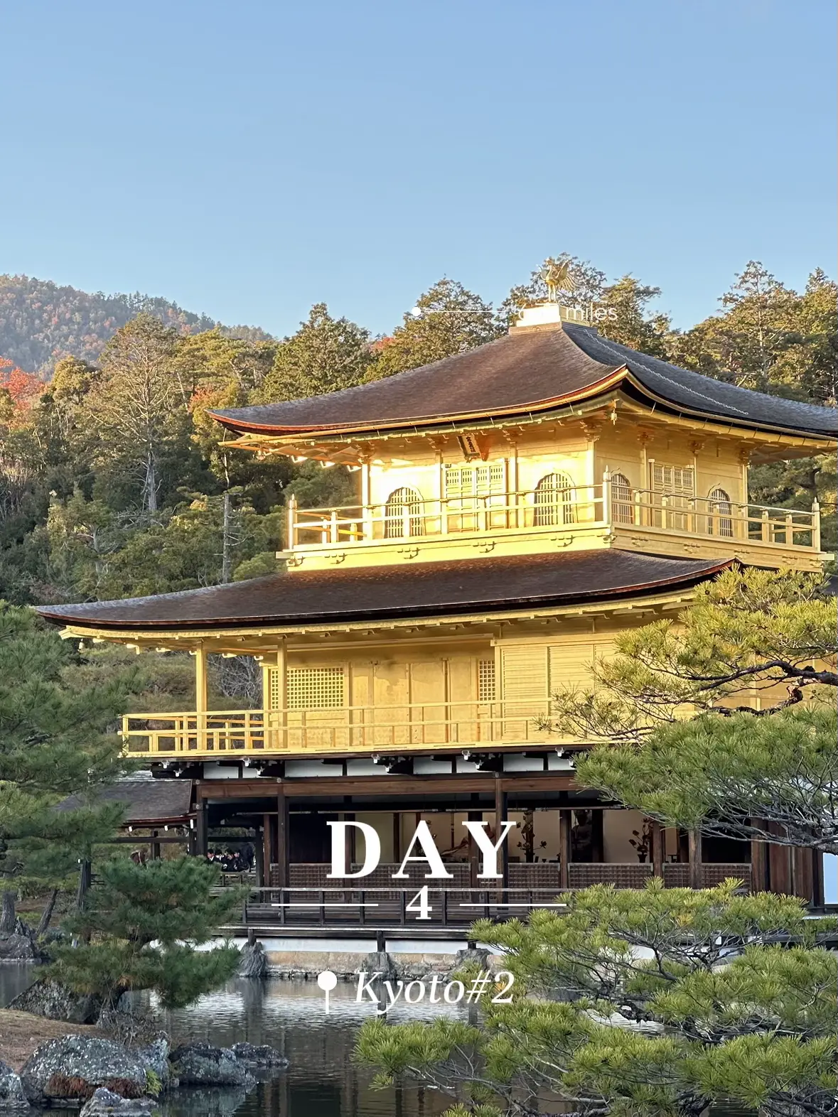 🇯🇵 KANSAI: Day4 เกียวโตอีกครั้ง 🍁 | แกลเลอรีที่โพสต์โดย 🌈☁️mine ...