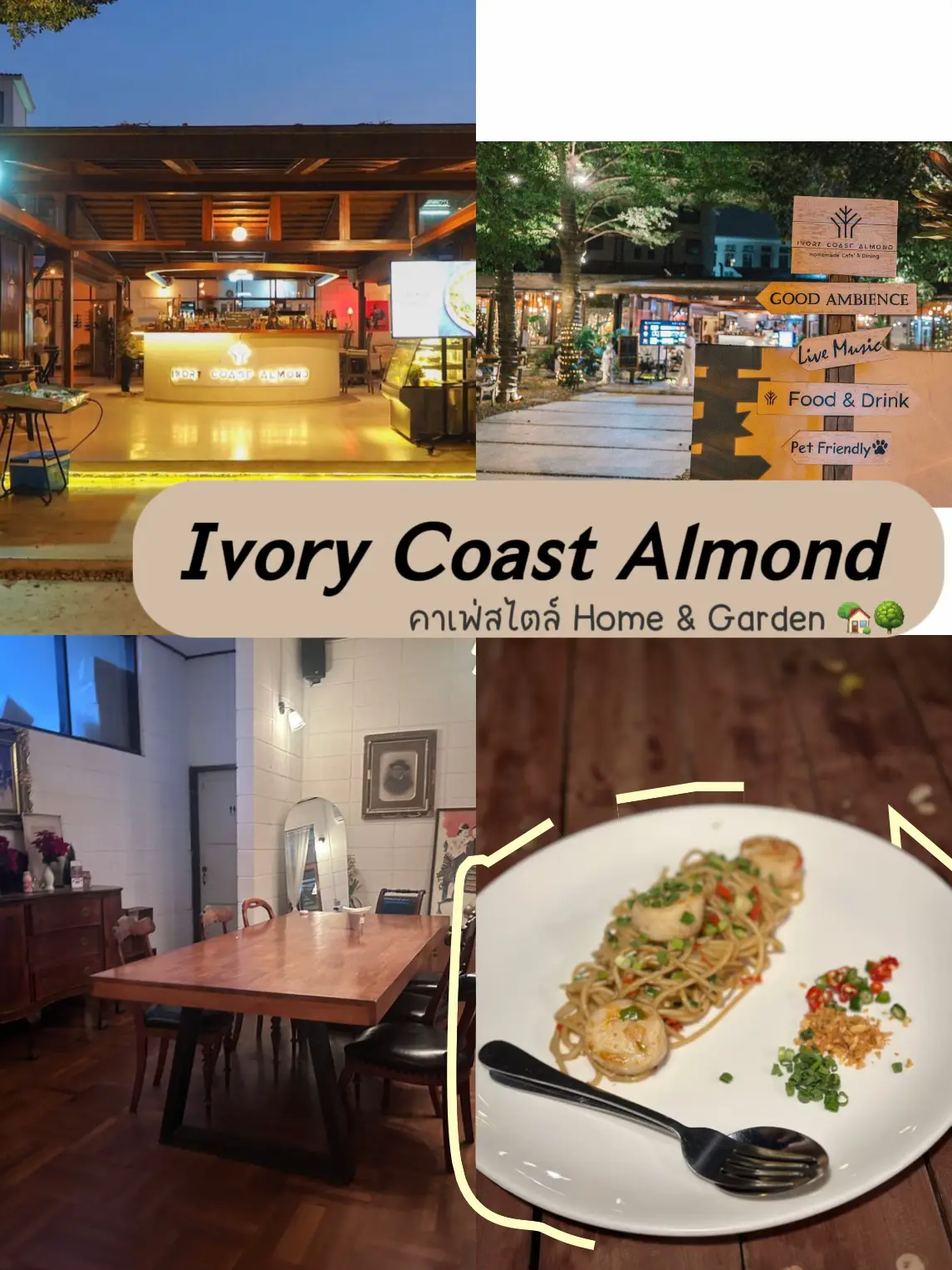 𝙄𝙫𝙤𝙧𝙮 𝘾𝙤𝙖𝙨𝙩 𝘼𝙡𝙢𝙤𝙣𝙙 🤎 คาเฟ่สไตล์ Home & Garden | แกลเลอรีที่โพสต์โดย 𝗠𝗲 ...