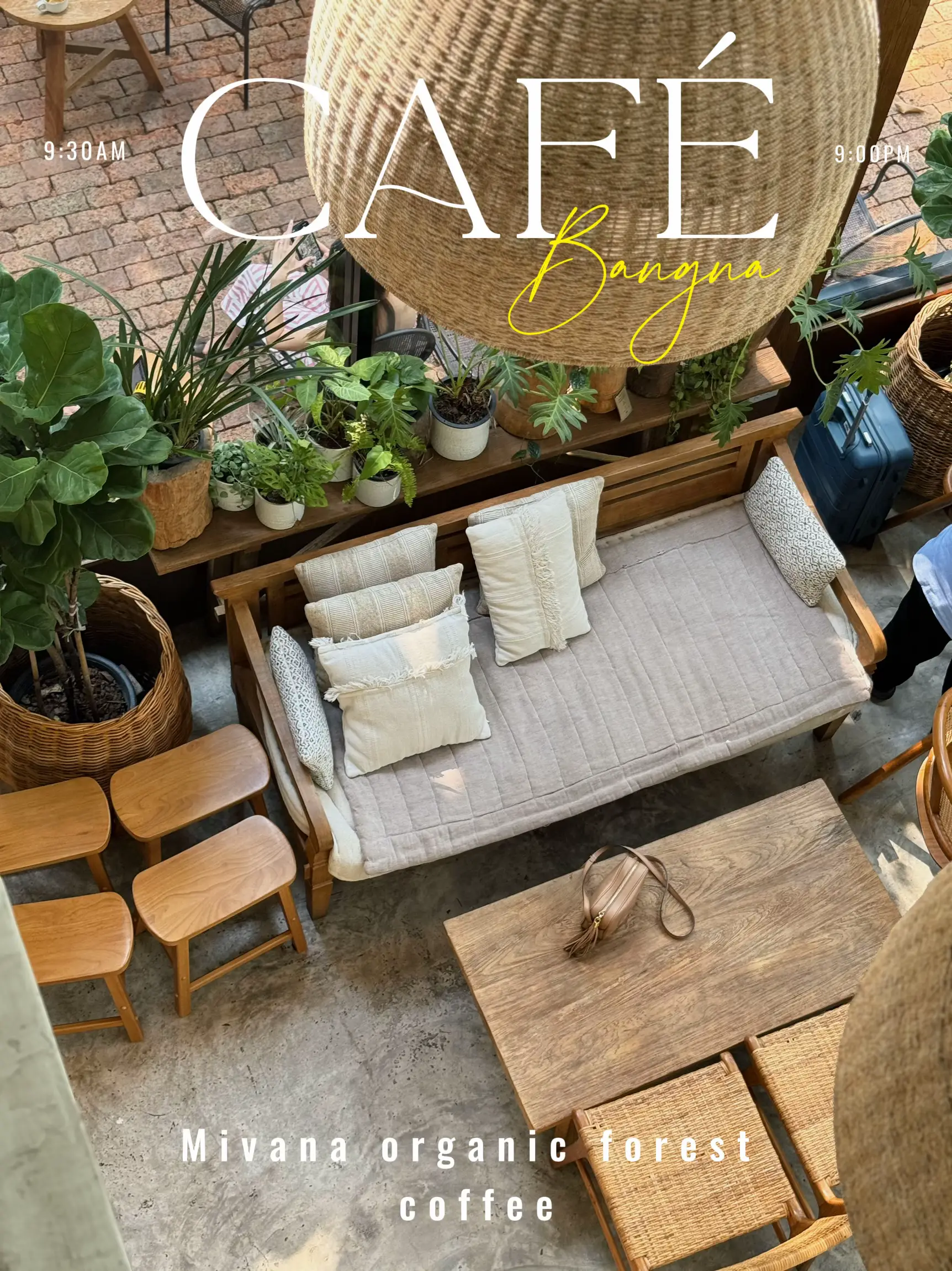 Mivana organic forest coffee | แกลเลอรีที่โพสต์โดย Eve433 | Lemon8