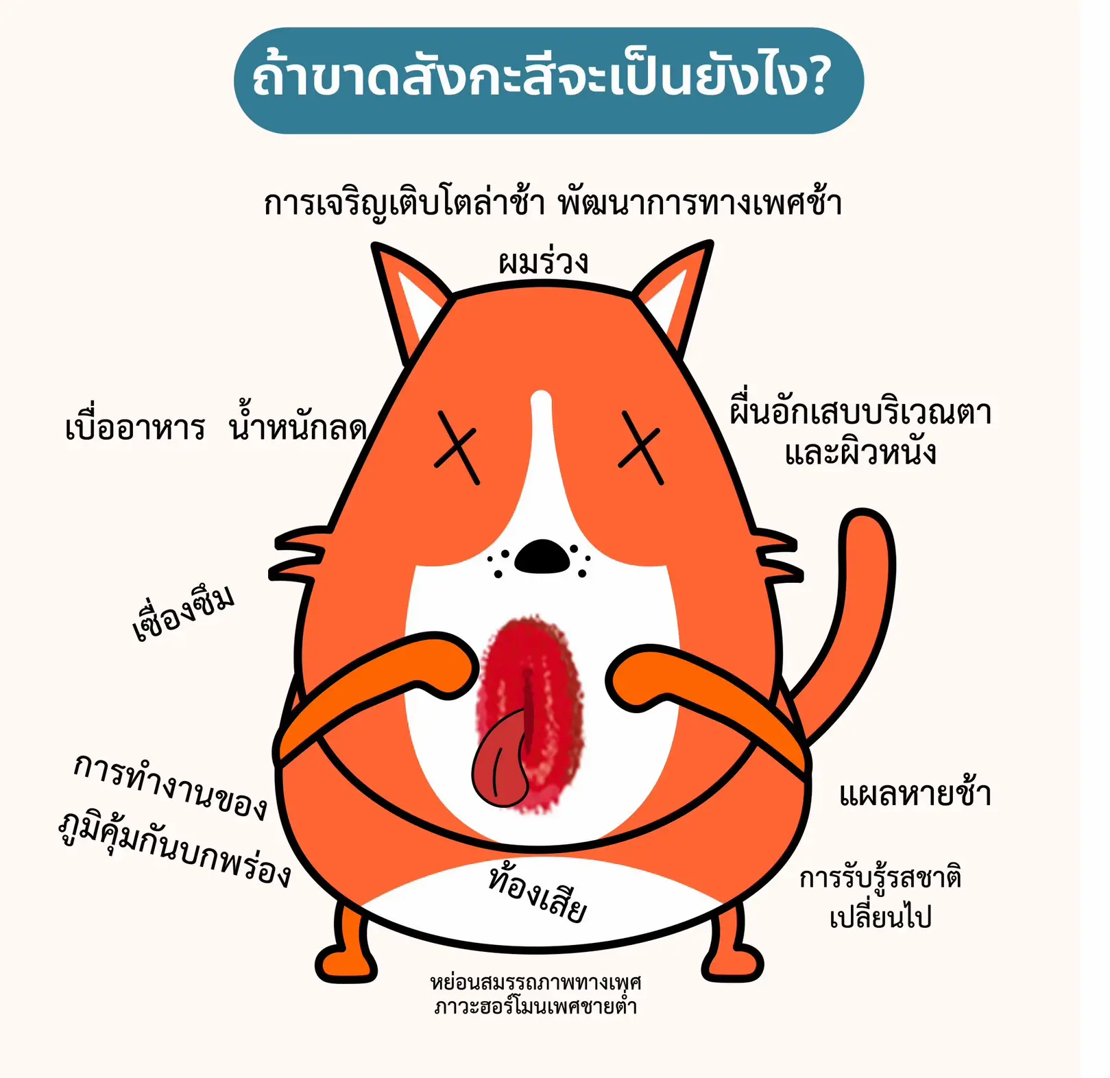 ว่าด้วย “สังกะสี” หรือ zinc | แกลเลอรีที่โพสต์โดย พี่จ้วน | Lemon8