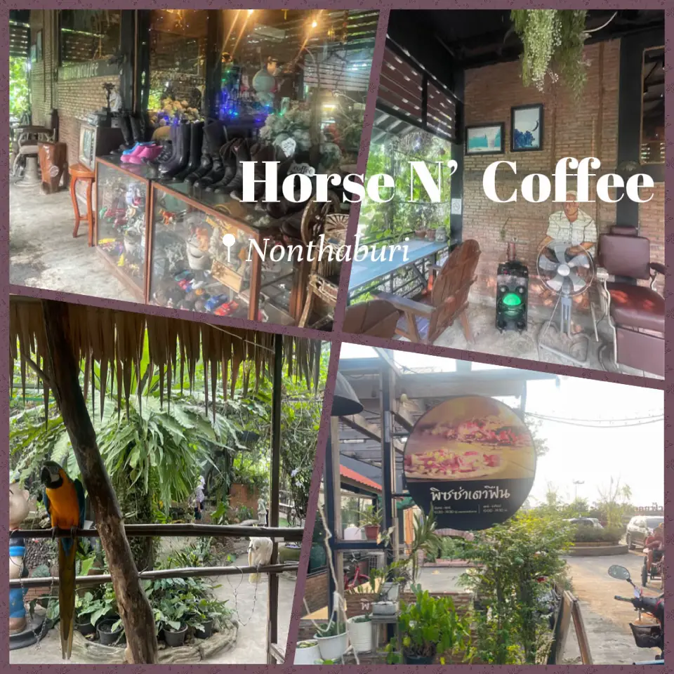 Horse’N Coffee คาเฟ่ ฟาร์ม เมืองนนท์ | แกลเลอรีที่โพสต์โดย Wtn Ii'z ...