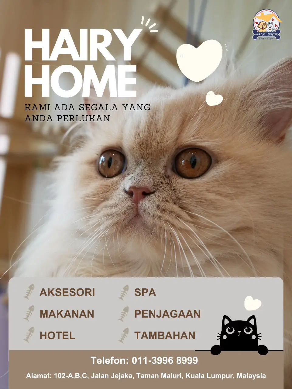 Jom menbawa kucing anda untuk bermain dengan kita! | Galeri disiarkan oleh HAIRY HOME | Lemon8