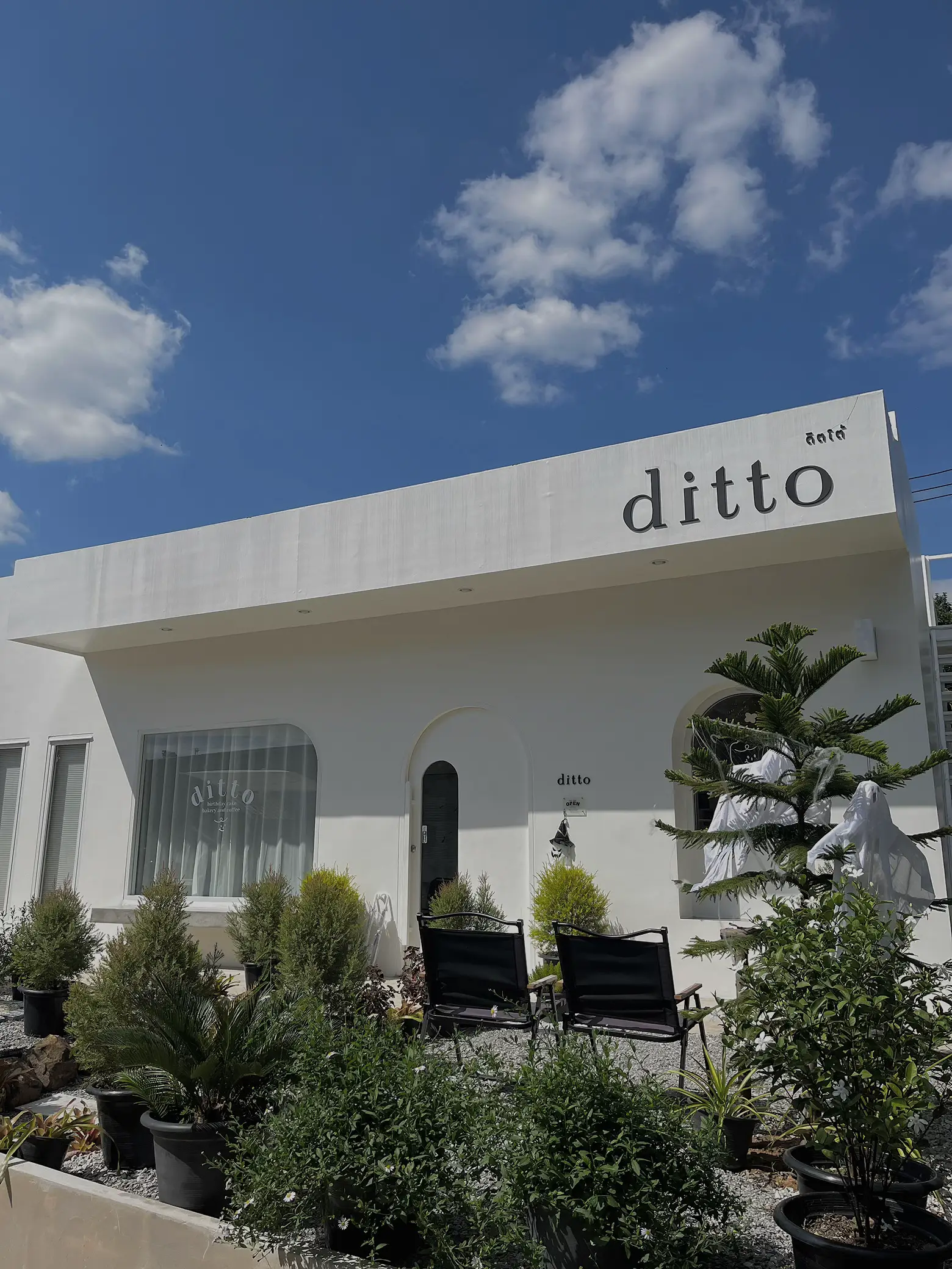 Ditto.cafe | คาเฟ่สไตล์เกาหลีที่ขอนแก่น | แกลเลอรีที่โพสต์โดย Muksita.s ...