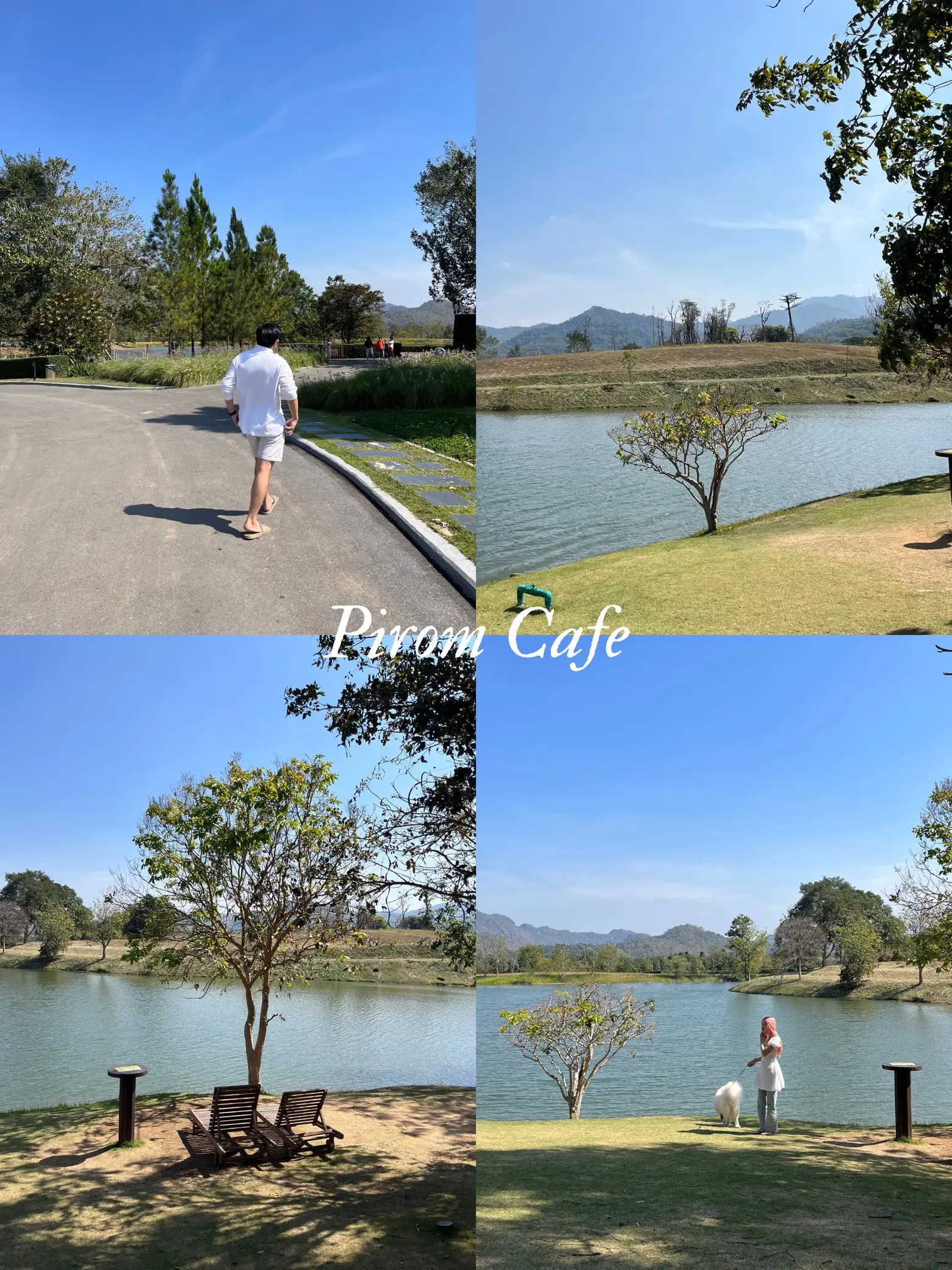 มัดรวม 5 cafe vibe ดีๆที่เขาใหญ่ไว้ให้แล้ว 🏕️ | แกลเลอรีที่โพสต์โดย pan | Lemon8