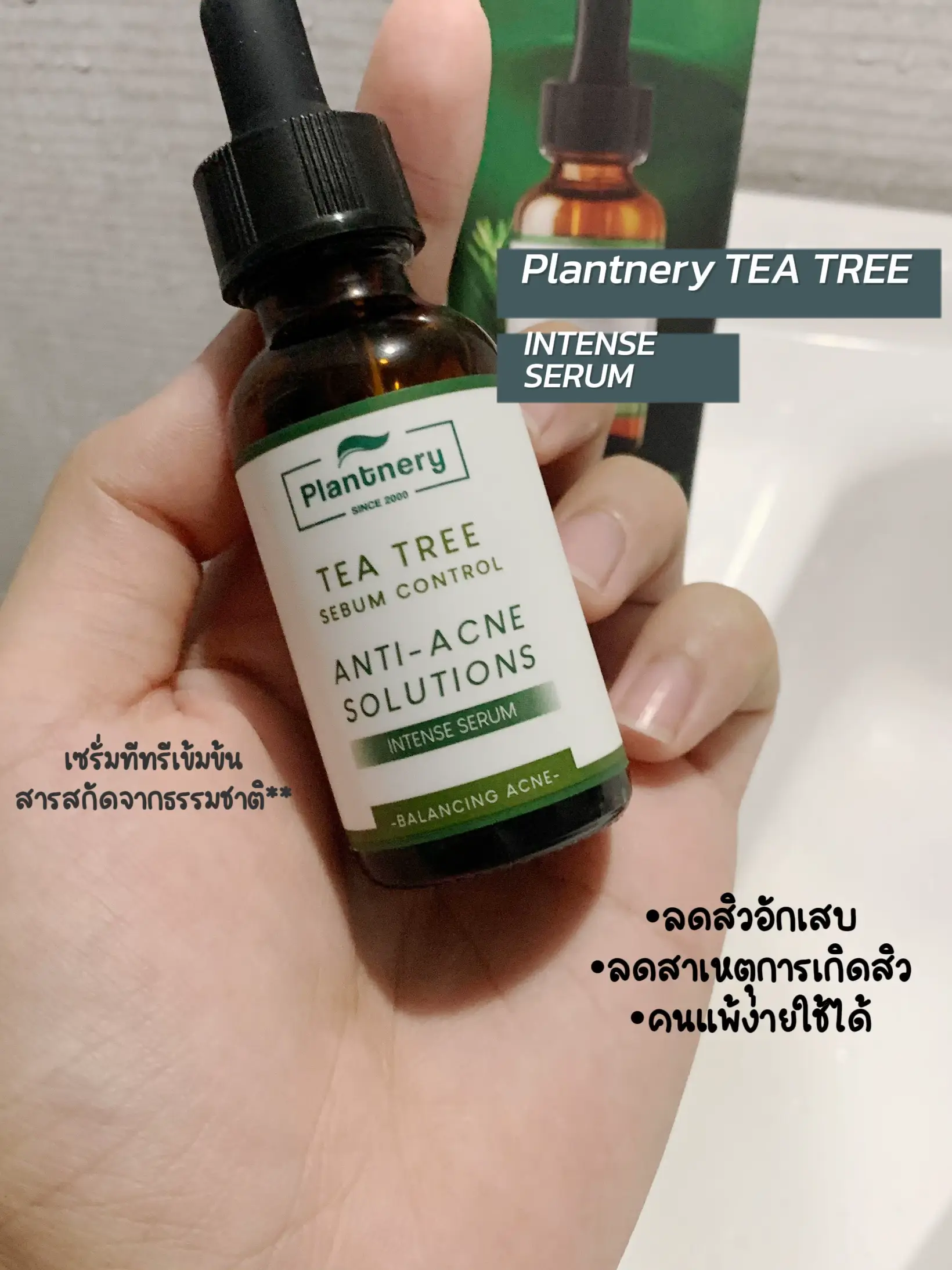 Plantnery TEA TREE | Gallery posted by Phudtha | Lemon8