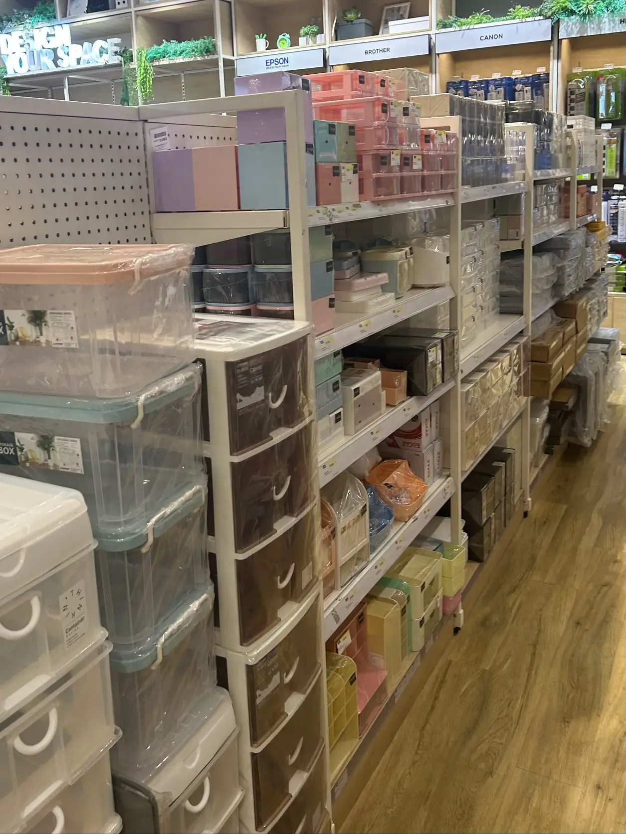 📸มาเดินเล่นB2Sกันค่าทุกคน🍋 | แกลเลอรีที่โพสต์โดย Palaloy | Lemon8