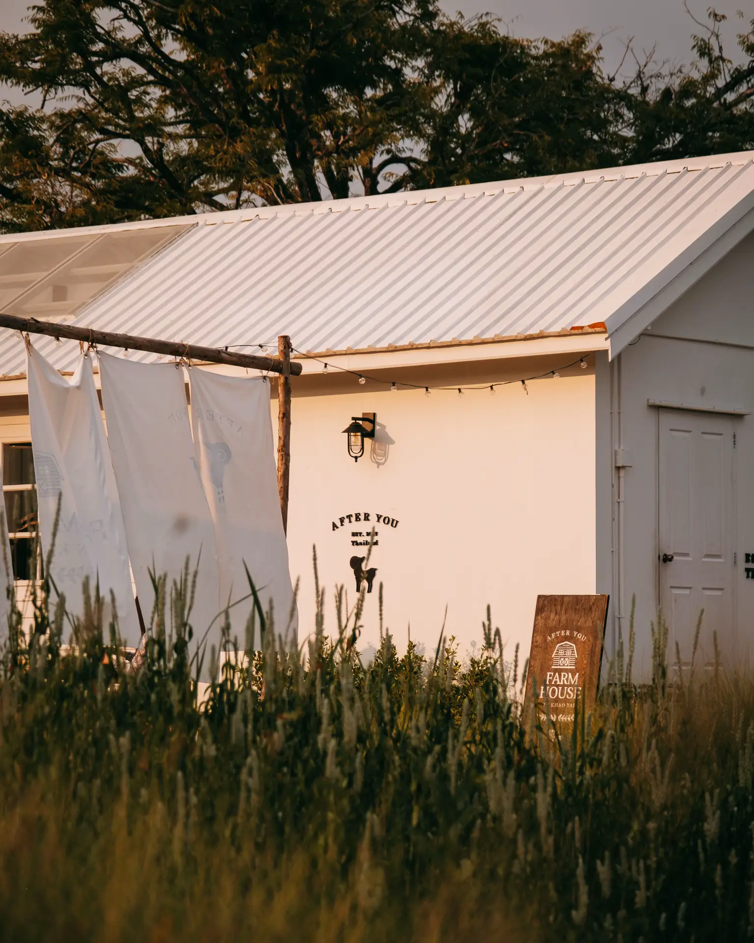 After You Farm House 🌽🐏 Pop-up Store ใน Midwinter | แกลเลอรีที่โพสต์โดย ...