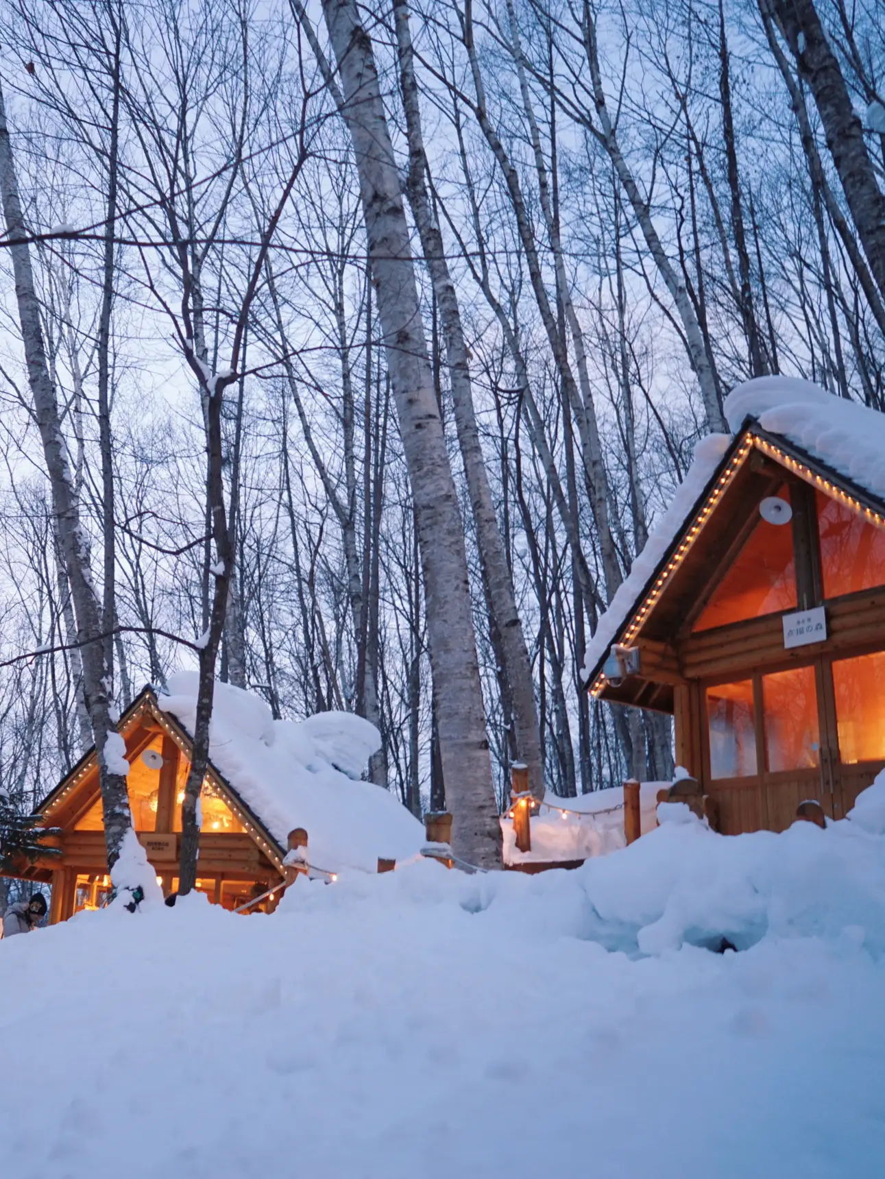 Ningle Terrace Fairy Tale Village Furano Town☃️ ️🌨️ | Gallery posted by ...