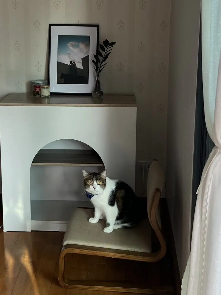 แจกไอเดีย ทำกรอบรูปเอง งบ 1xx บาท ขนาด A3 🌅 | แกลเลอรีที่โพสต์โดย ...