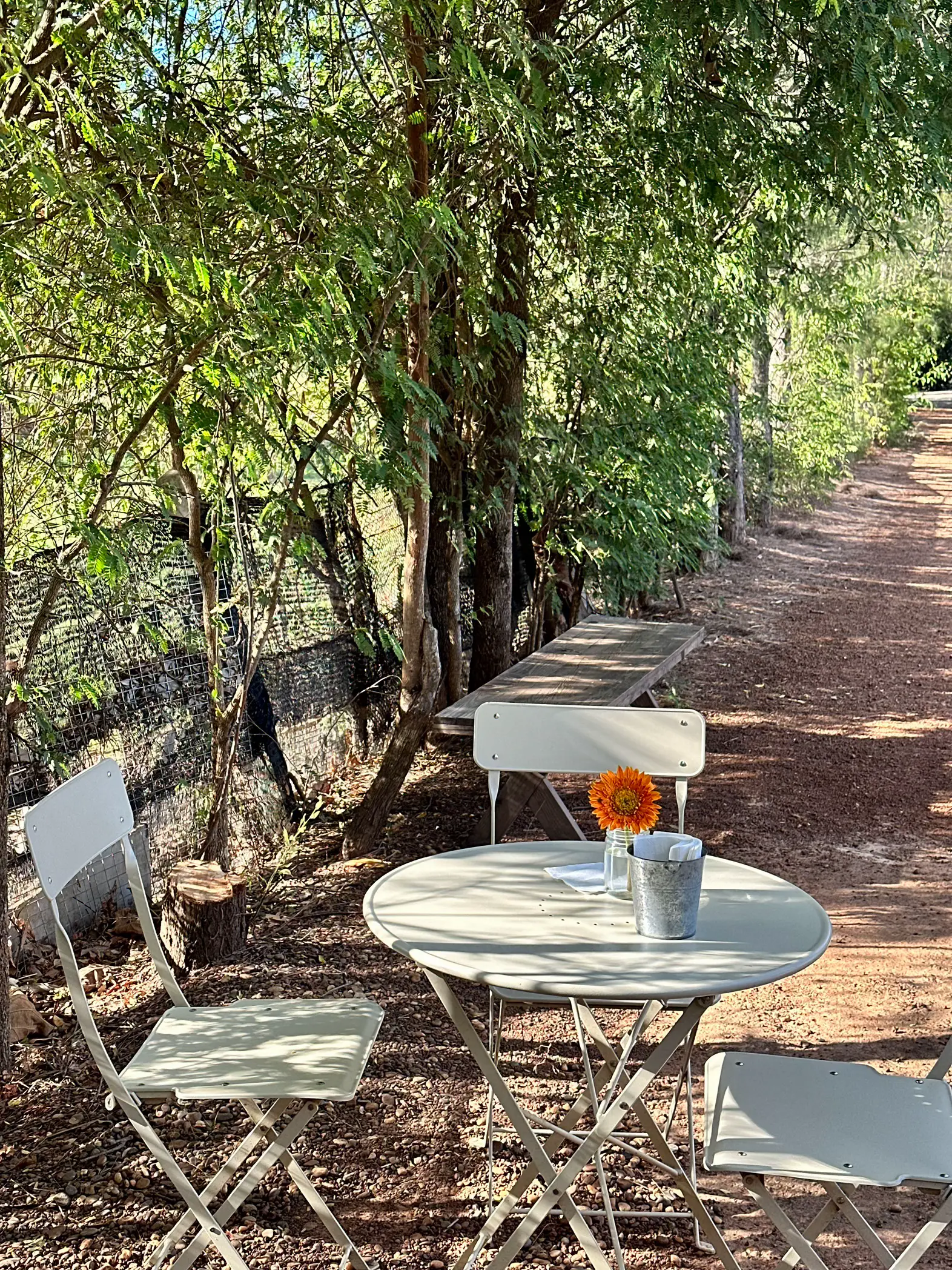 One day trip Udon Thani ⭐️🫧 | แกลเลอรีที่โพสต์โดย PUIFAI 🎨 | Lemon8