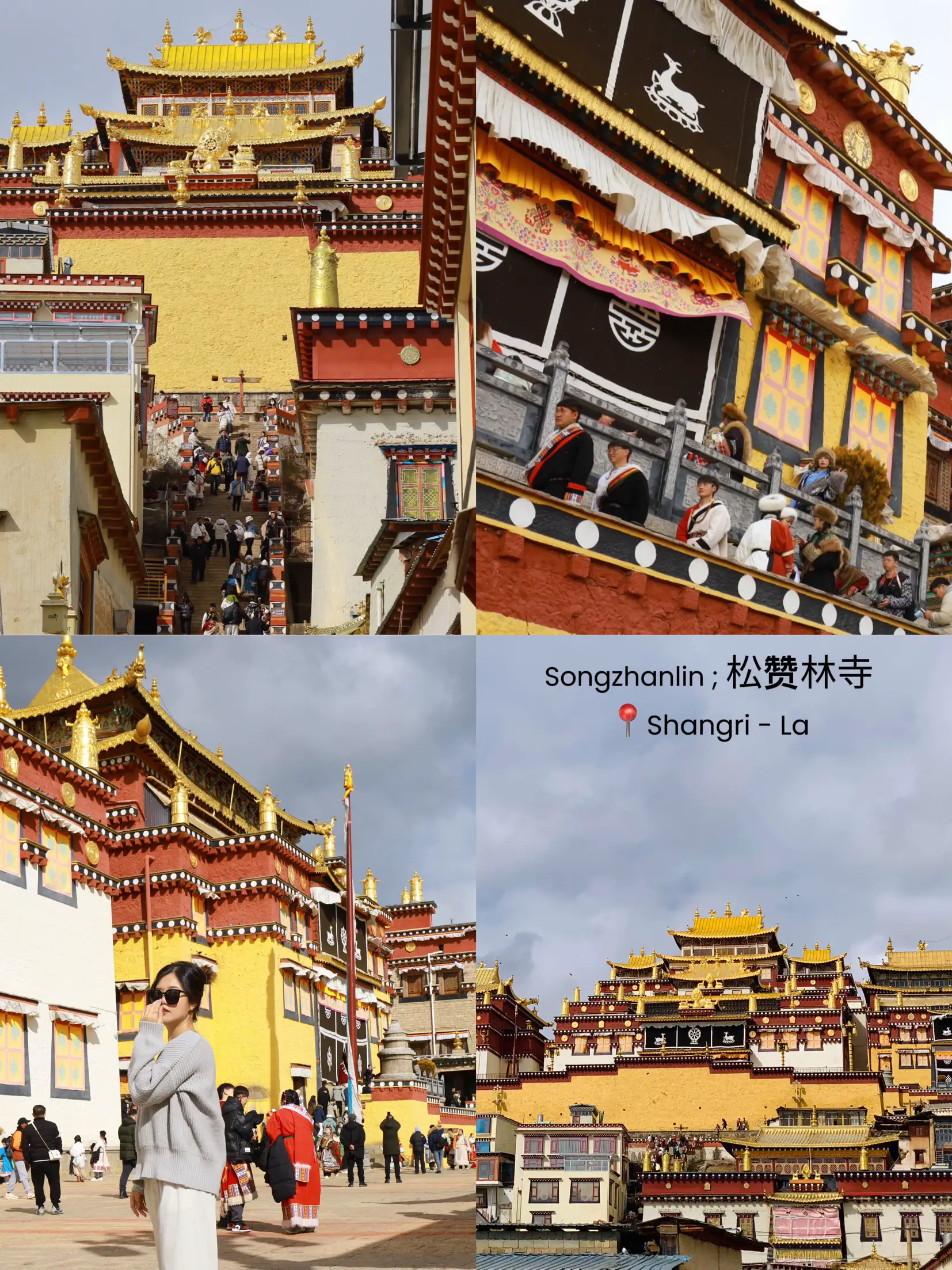 เดินทางไปวัดหลินฟ้า - การค้นหาใน Lemon8