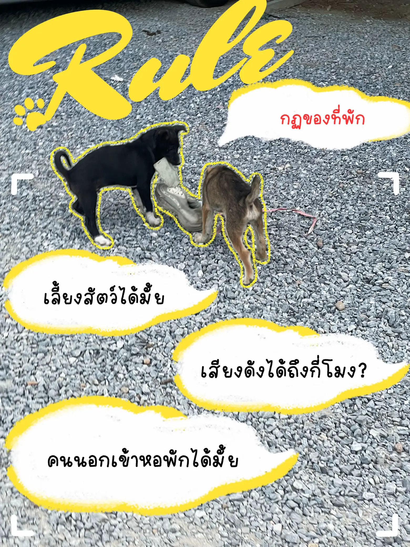 🚨เตือนแล้วนะ เช็คก่อนเข้าหอ Ep.01 | แกลเลอรีที่โพสต์โดย Human ped 🐤 | Lemon8