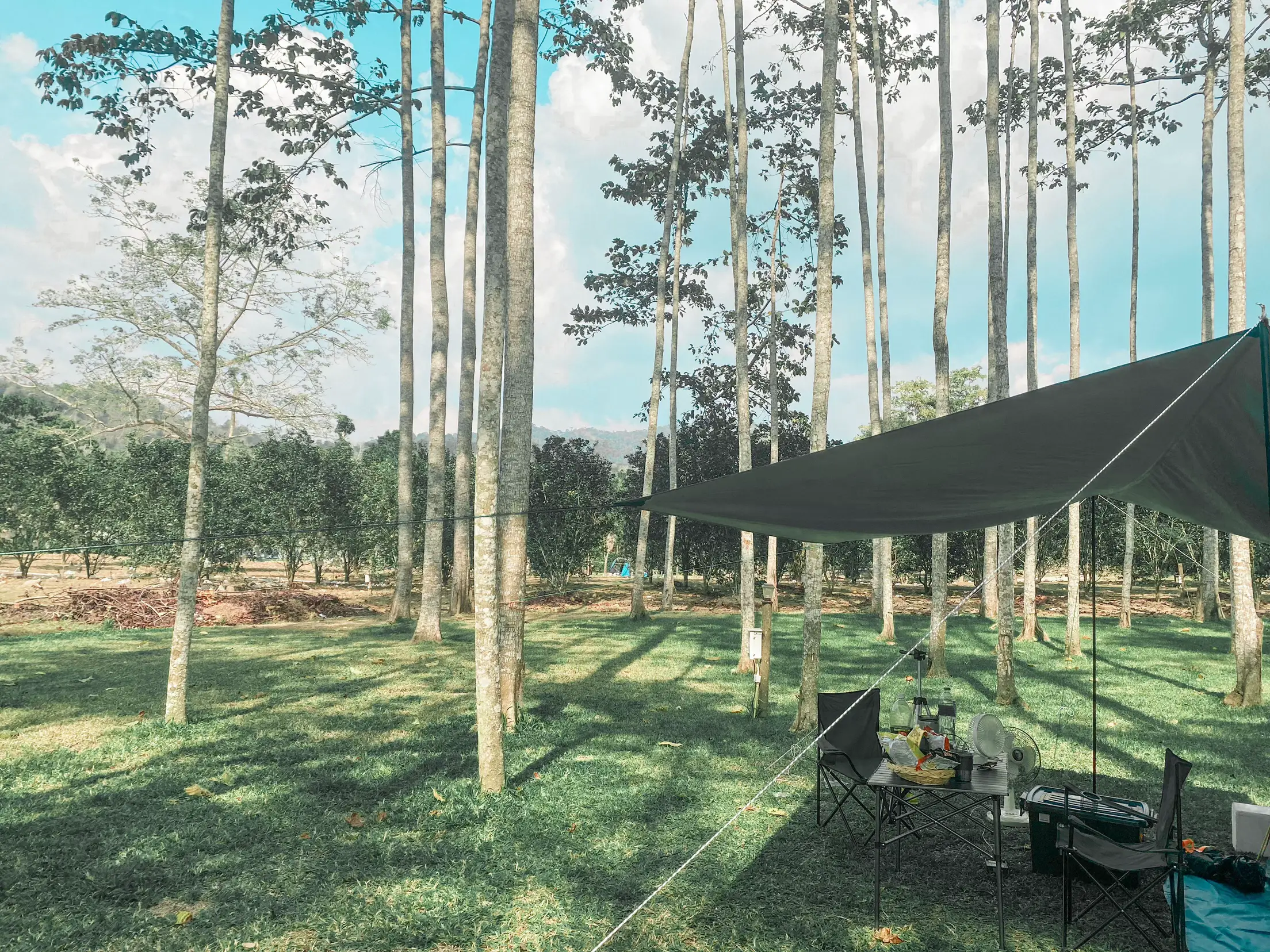 ณ วนา NA-WANA | แกลเลอรีที่โพสต์โดย Snackkatt🥀🦋 | Lemon8