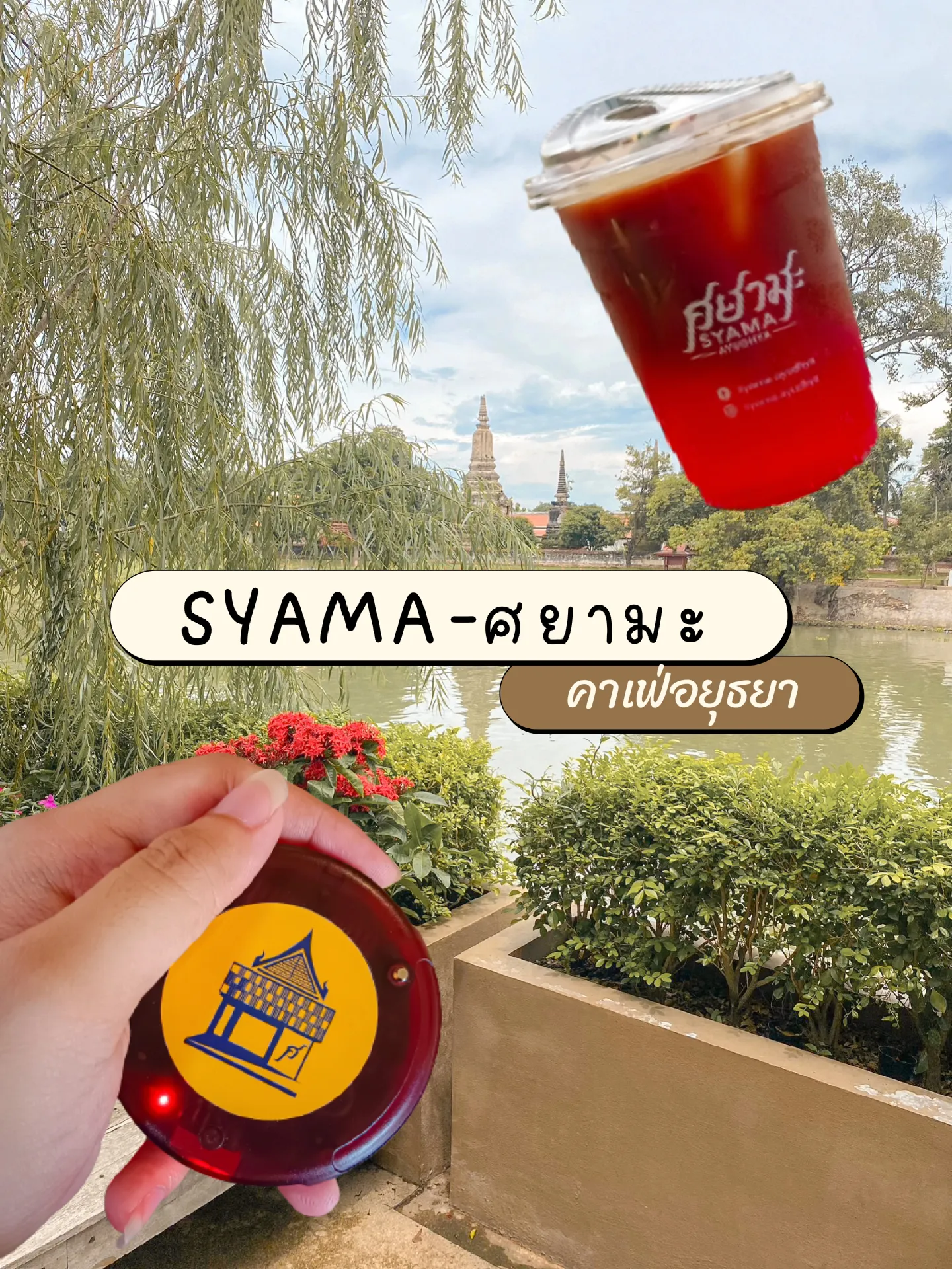 SYAMA-ศยามะ | คาเฟ่อยุธยา 🛕 | แกลเลอรีที่โพสต์โดย itsmeninew | Lemon8