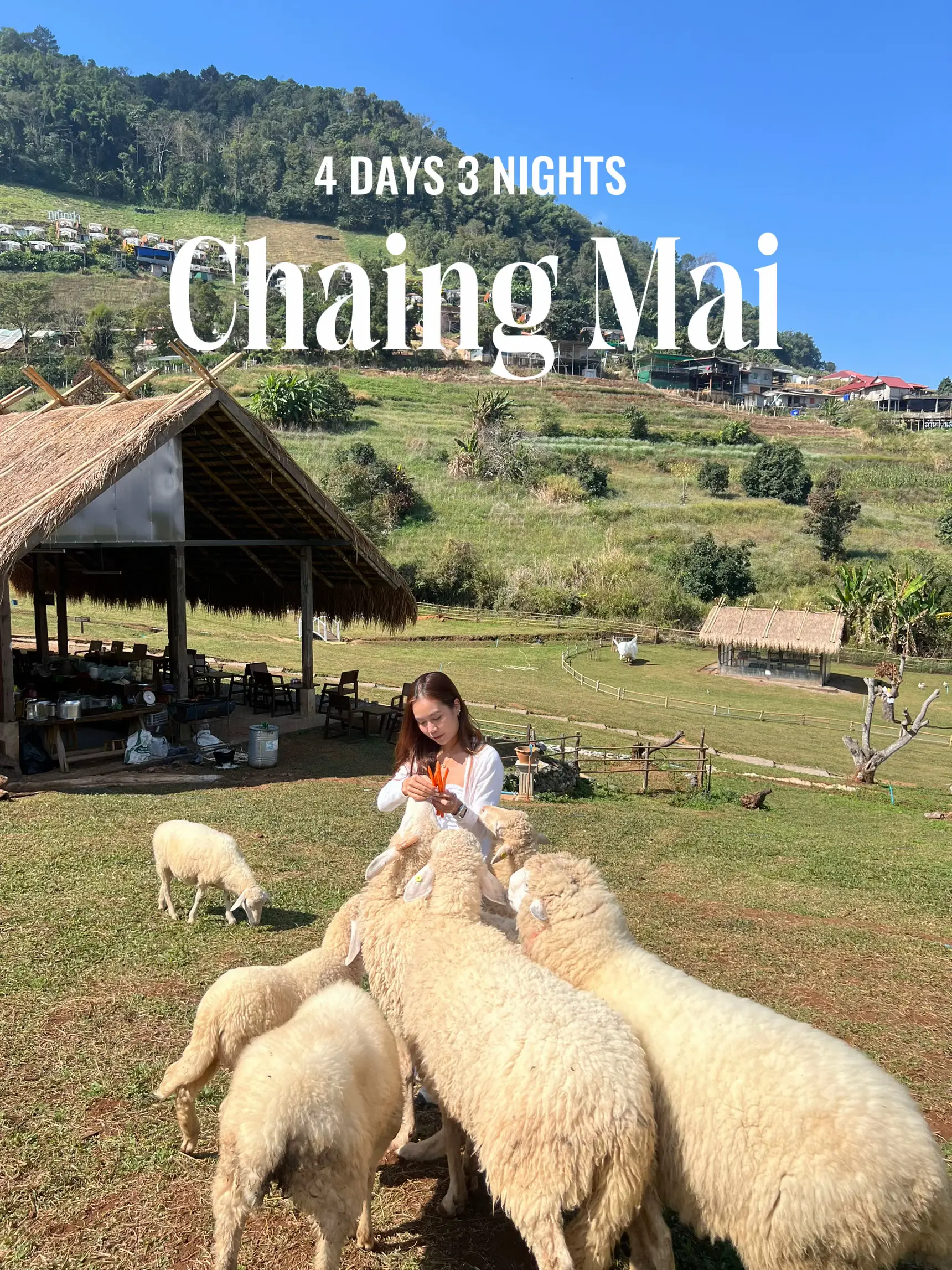 Chaing Mai 4 วัน 3 คืน ฉบับลางานไปเที่ยว💫 | แกลเลอรีที่โพสต์โดย viiew ̈ ...