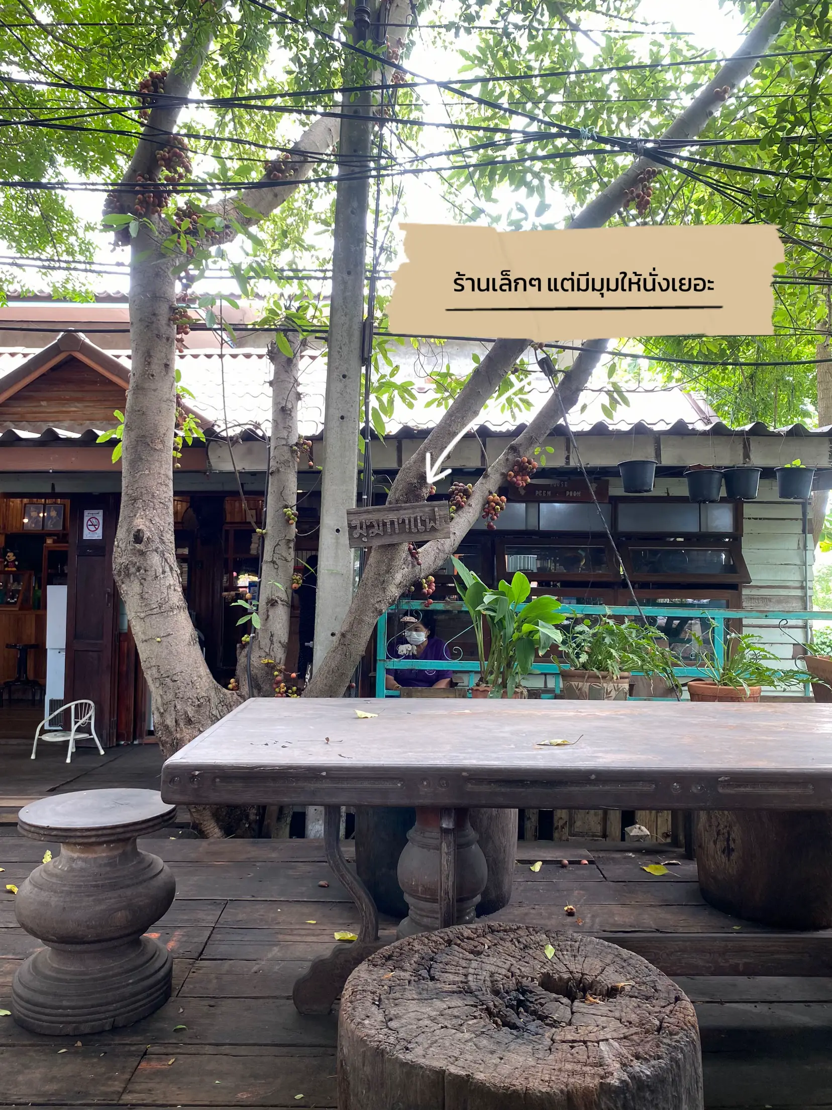 Poom Cafe จ.อ่างทอง คาเฟ่บ้าน ๆ ใต้ร่มไม้ สไตล์วินเทจ 🍋☕️ | แกลเลอรีที่ ...