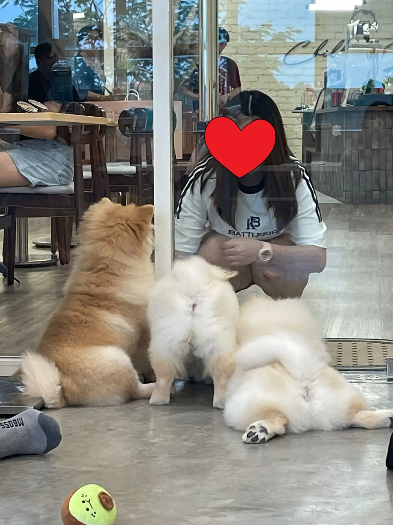 MUST VISIT: ~$4 new chow chow cafe in jb 🐶 | Gallery posted by ruex 🍚 ...