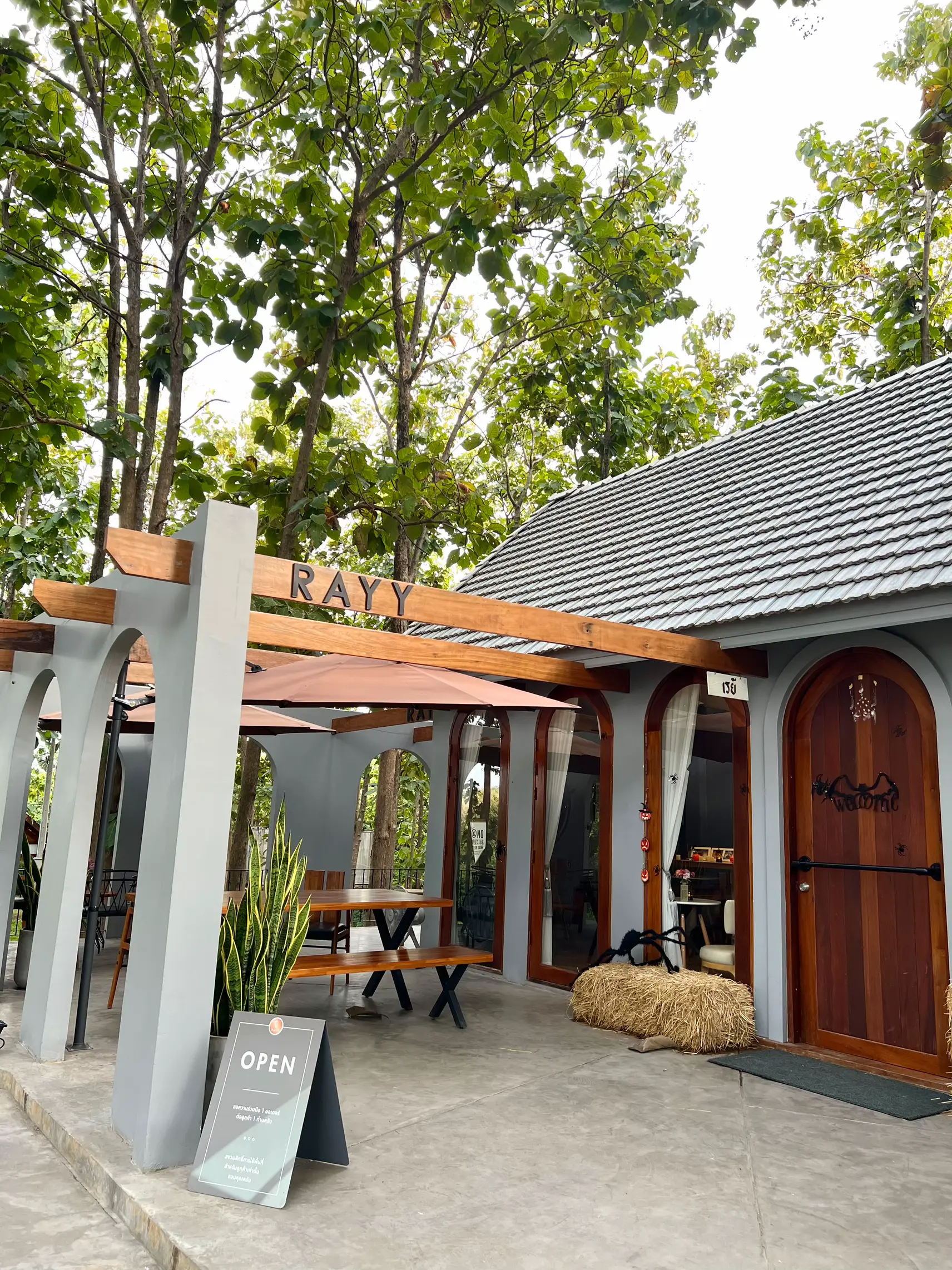 แวะสระบุรีกันนนนน RAYY Cafe 🌳 | แกลเลอรีที่โพสต์โดย firstkiss. | Lemon8