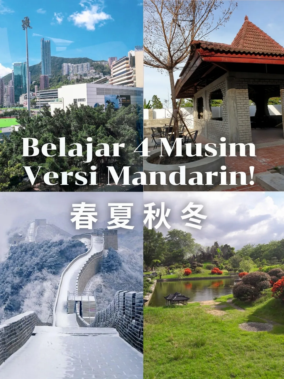 4 Musim versi Mandarin😍 | Galeri diposting oleh eli🌱 丽娜 | Lemon8