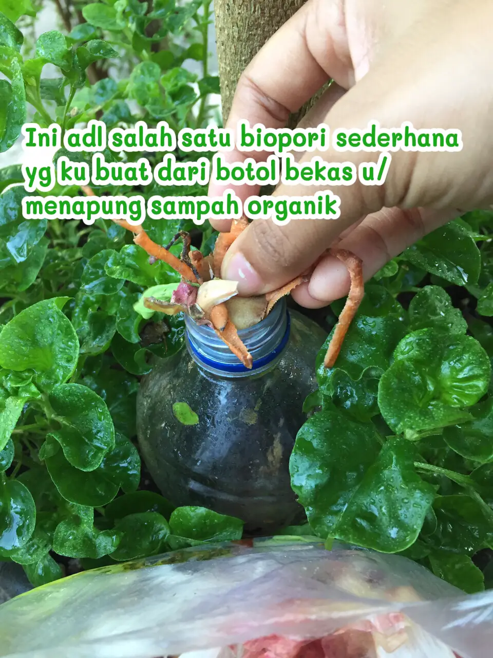 Apa itu biopori...?! | Galeri diposting oleh Mega | Lemon8