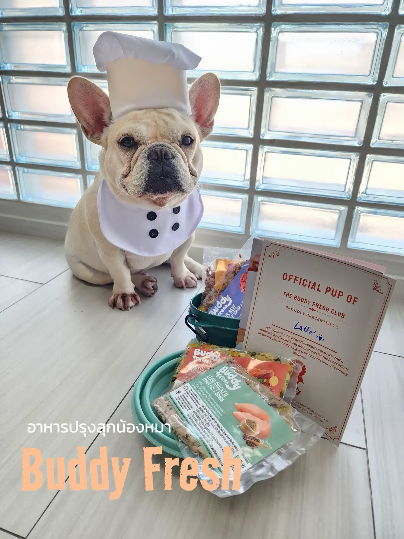 Buddy Fresh อาหารปรุงสุกของน้องหมา 😋 | แกลเลอรีที่โพสต์โดย Lattewander ...