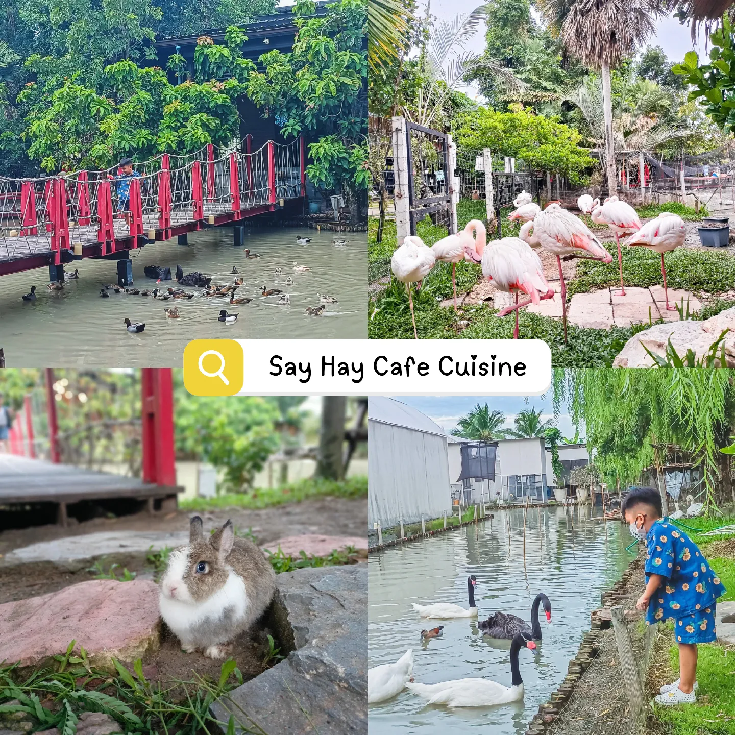 7คาเฟ่เด็ก นครปฐม | แกลเลอรีที่โพสต์โดย vemberpatiew | Lemon8