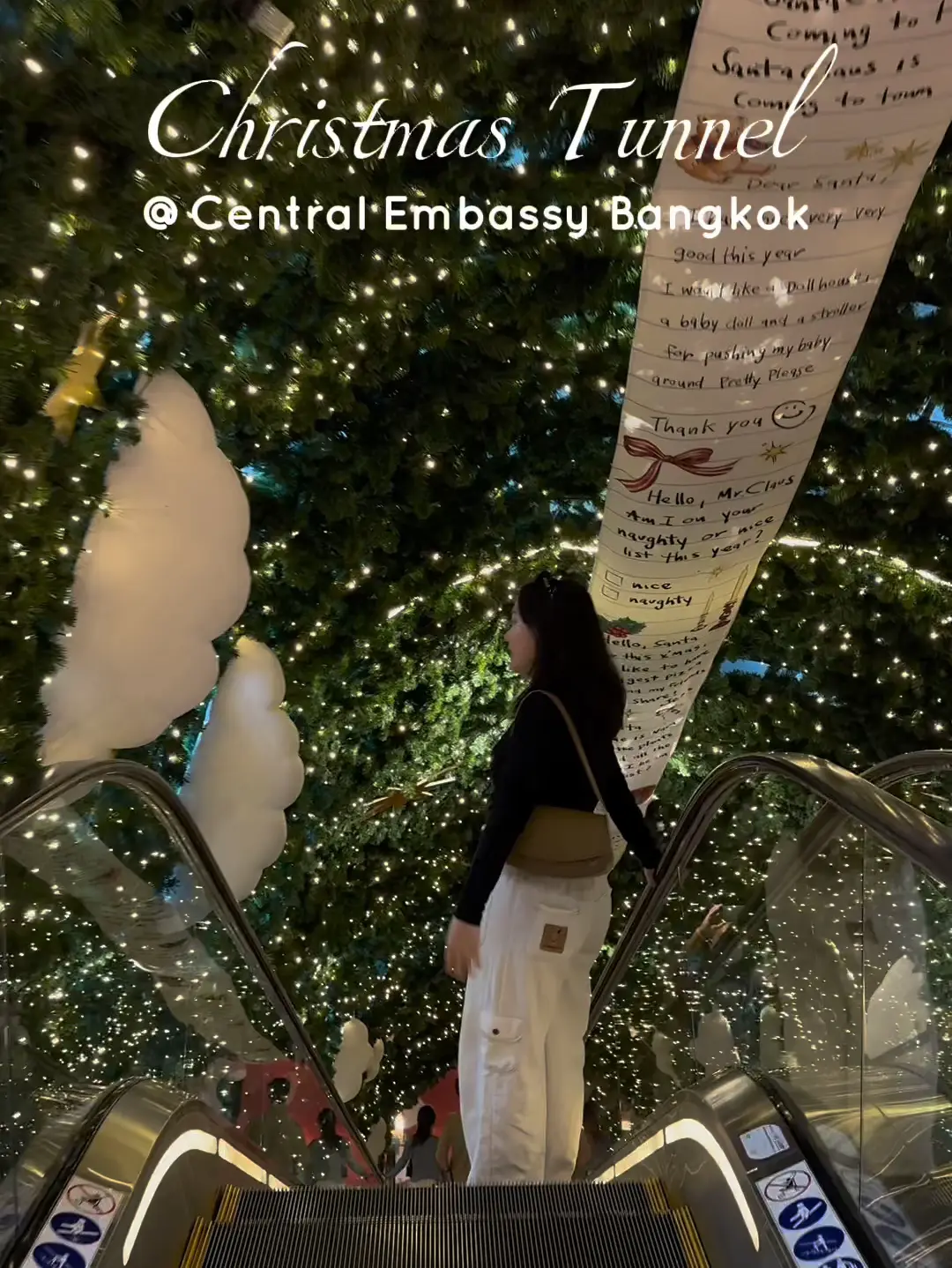 พิกัดมุมถ่ายรูปช่วงคริสต์มาส🎄 ️ | วิดีโอที่เผยแพร่โดย lyviews | Lemon8