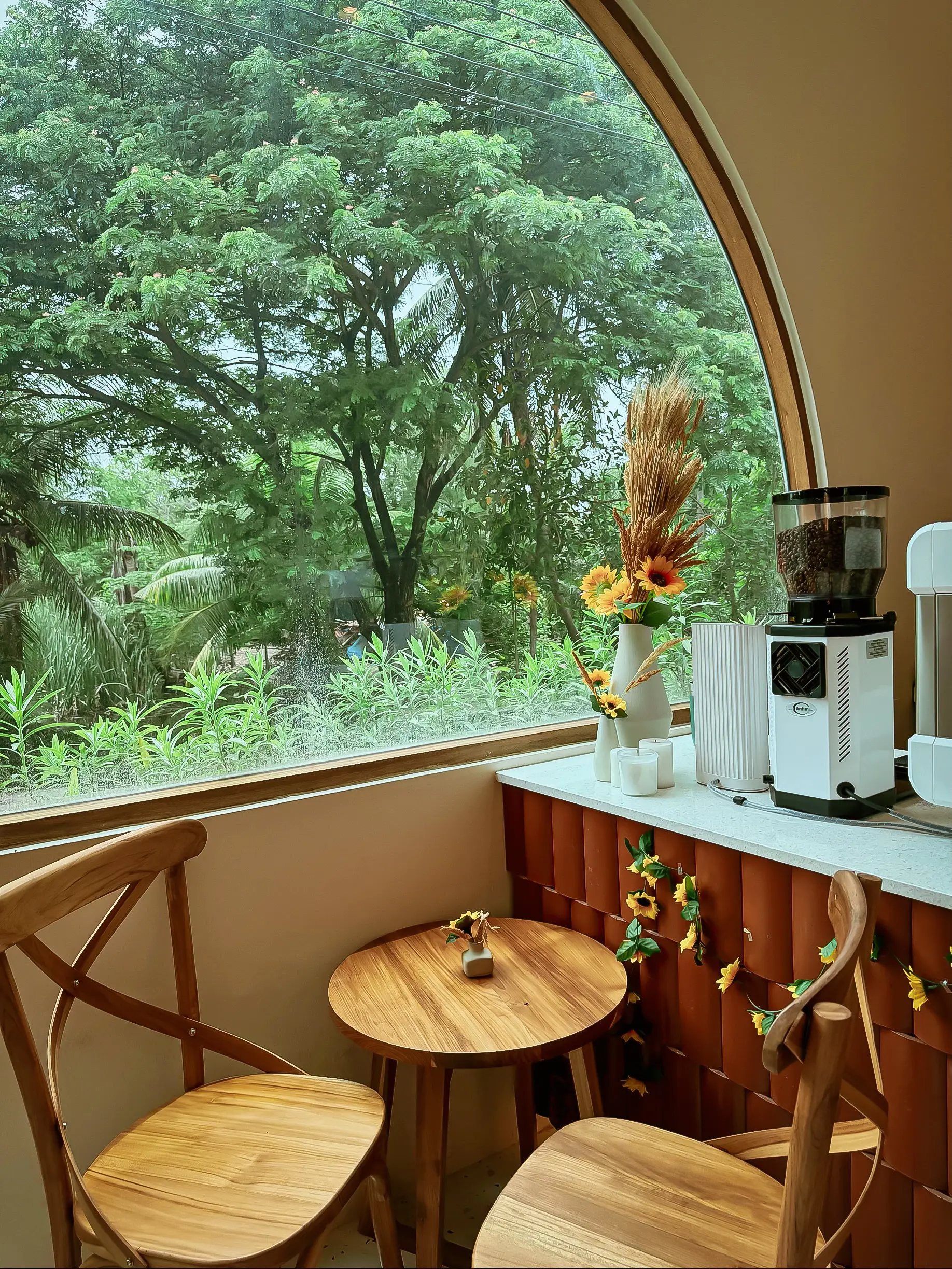 Continue cafe 🌼🌻 คาเฟ่ฟิลเขาใหญ่ 🌳 | แกลเลอรีที่โพสต์โดย Chompoochew 🍒 | Lemon8