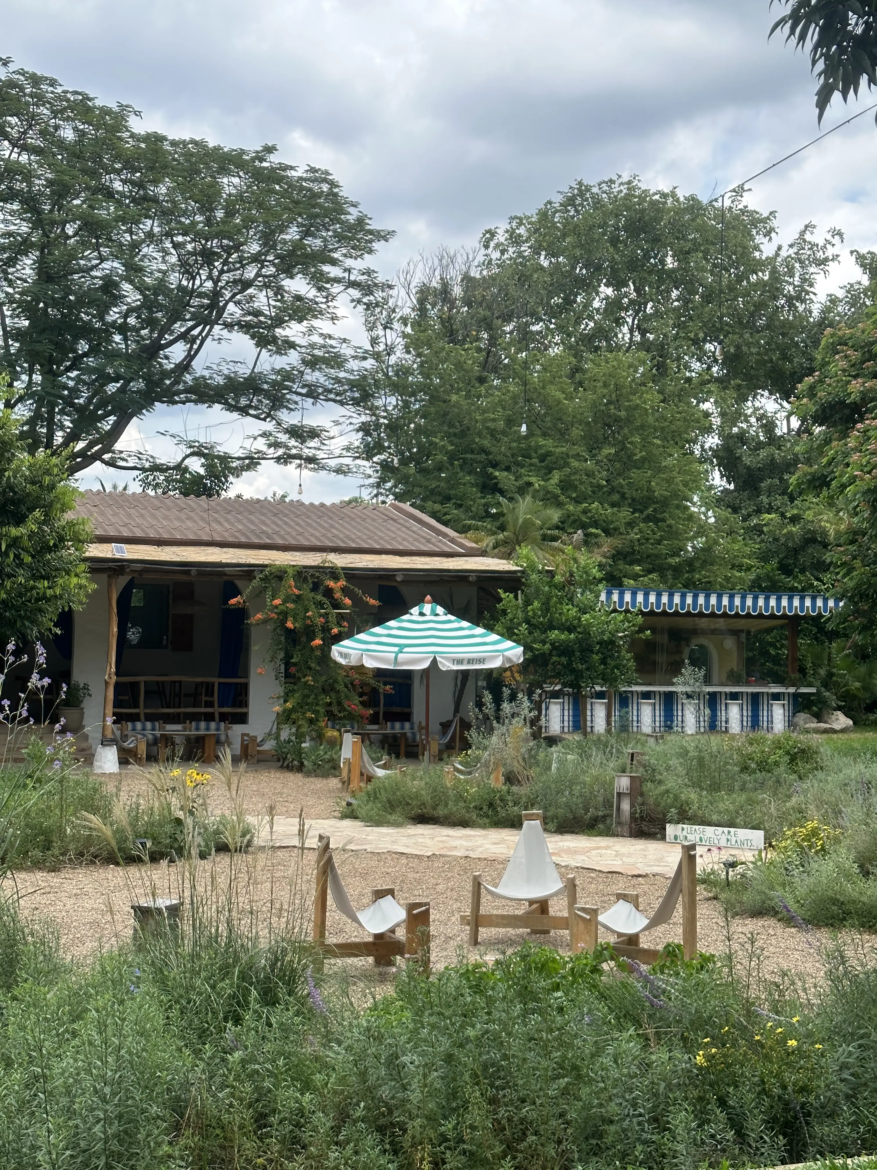 🍋 The reise ประชาชื่น ร้านอาหารสไตล์อิตาลี 🍋 | แกลเลอรีที่โพสต์โดย ...