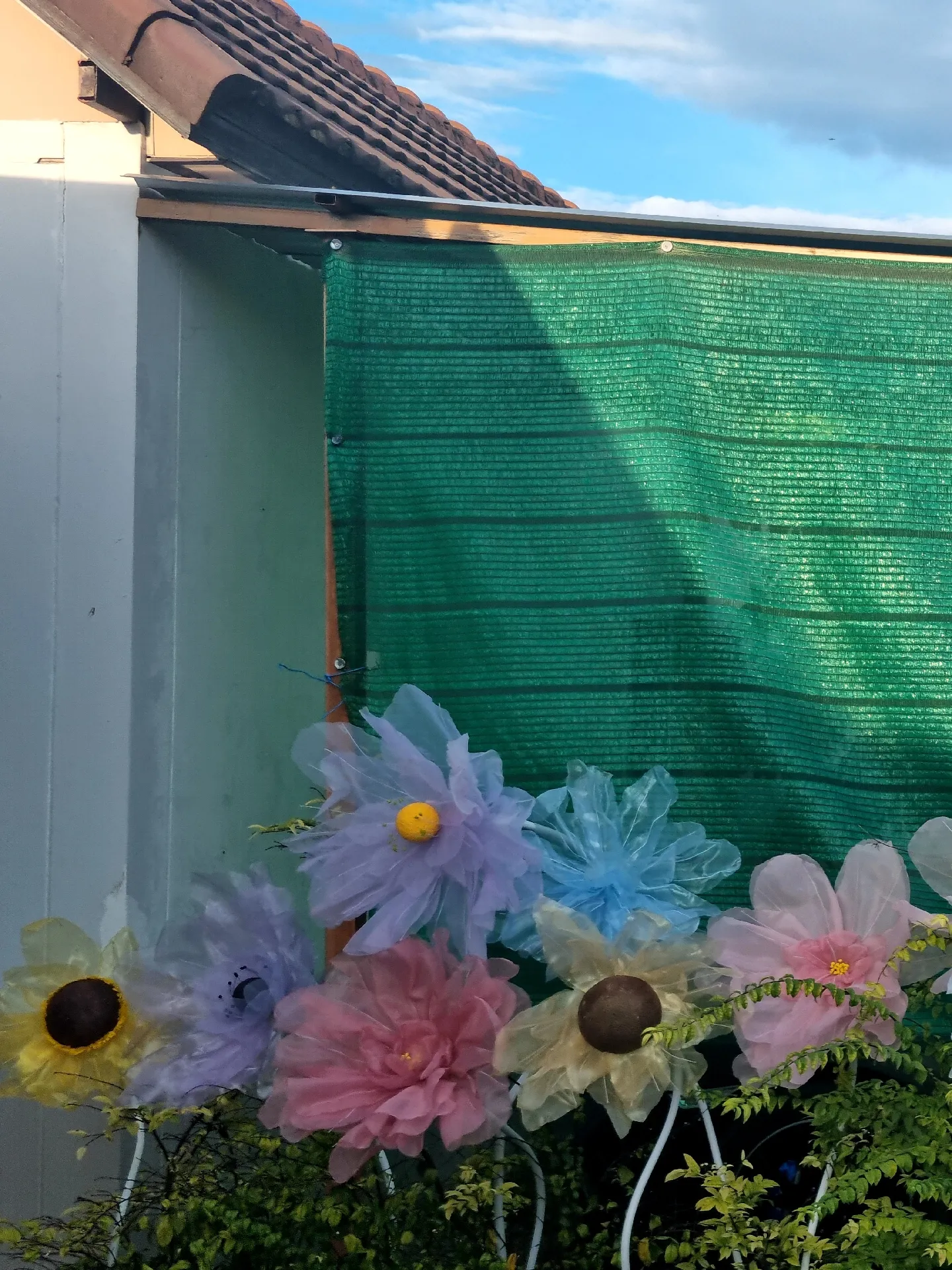 ก้ามปูท่อ Pvc - การค้นหาใน Lemon8