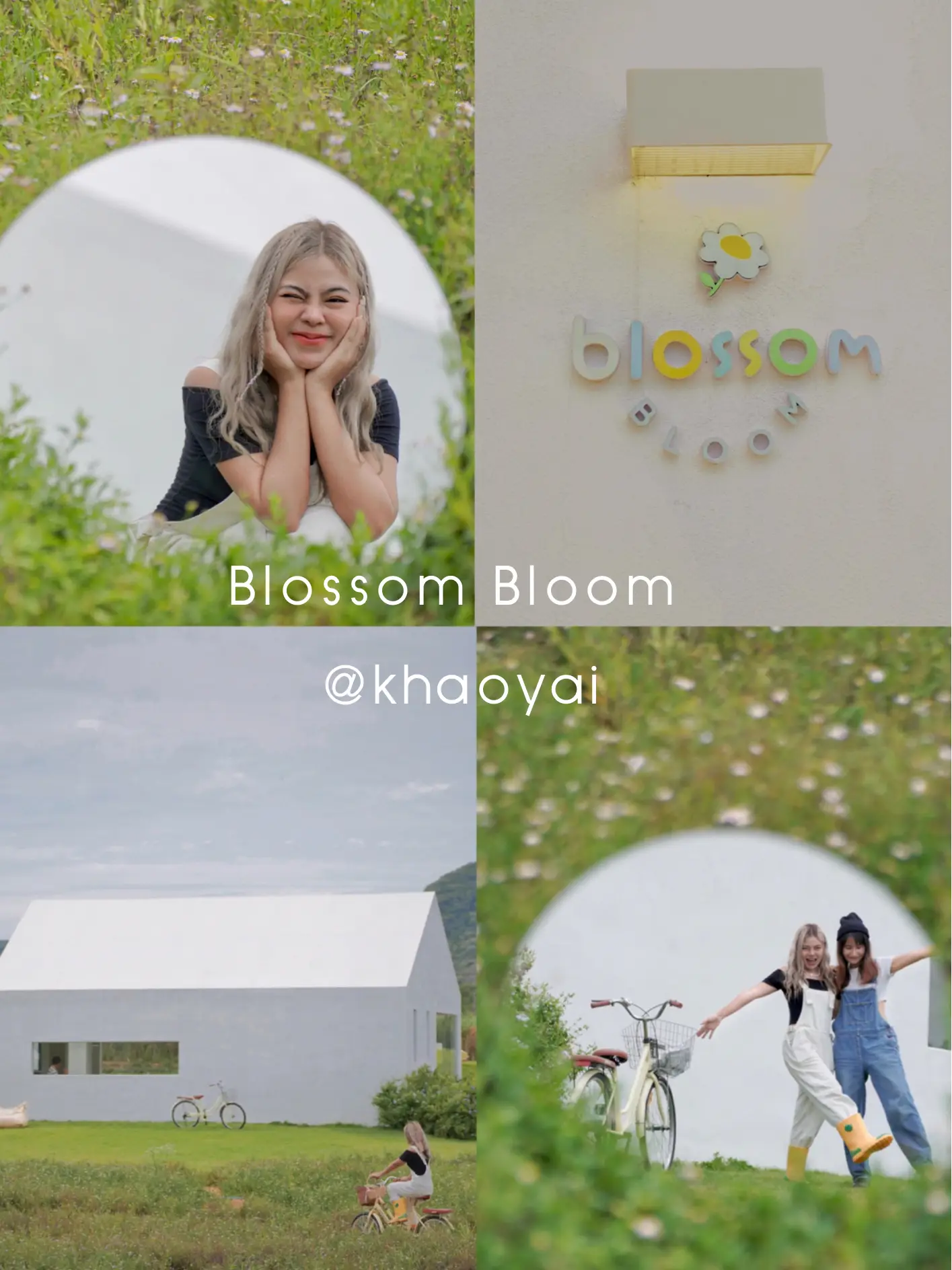 🔅Bloosom Bloom ⛰ Cafe Khao Yai Must Check In ~ | Gallery posted by Aem Janjira | Lemon8