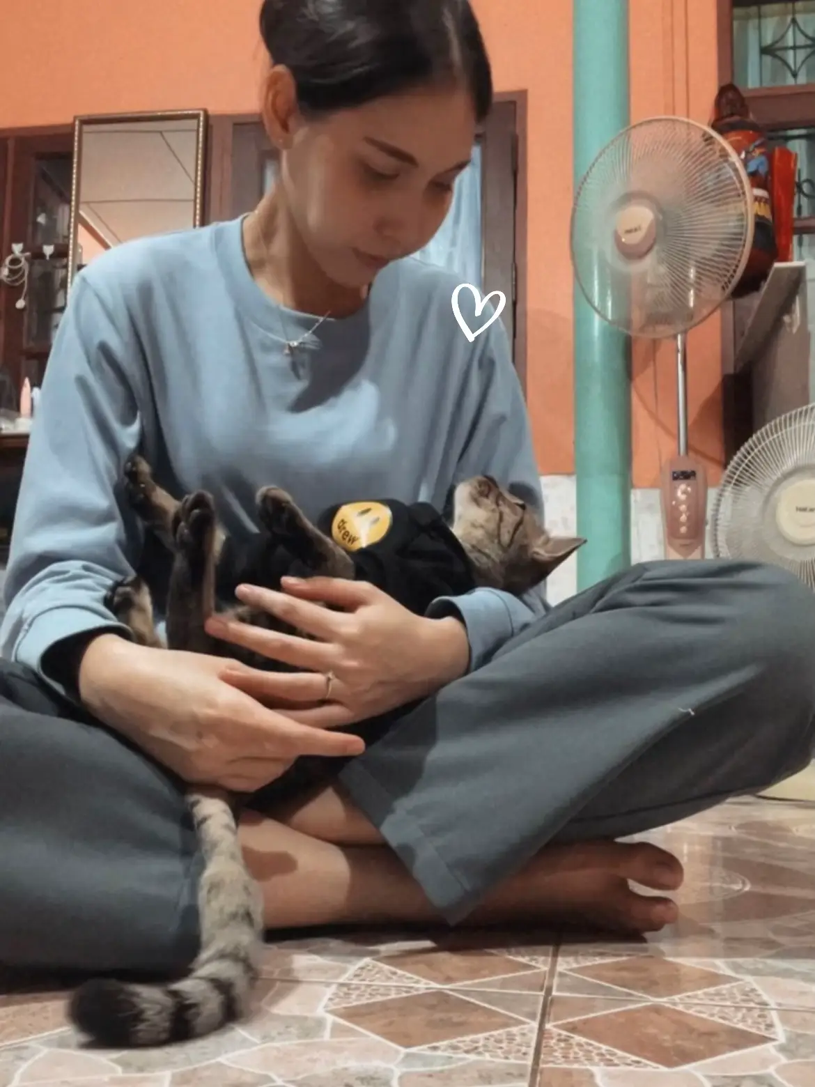 ตอน : อวดเจ้านายแสนรัก💖 #ทาสแมว | แกลเลอรีที่โพสต์โดย suwaphat.chr | Lemon8