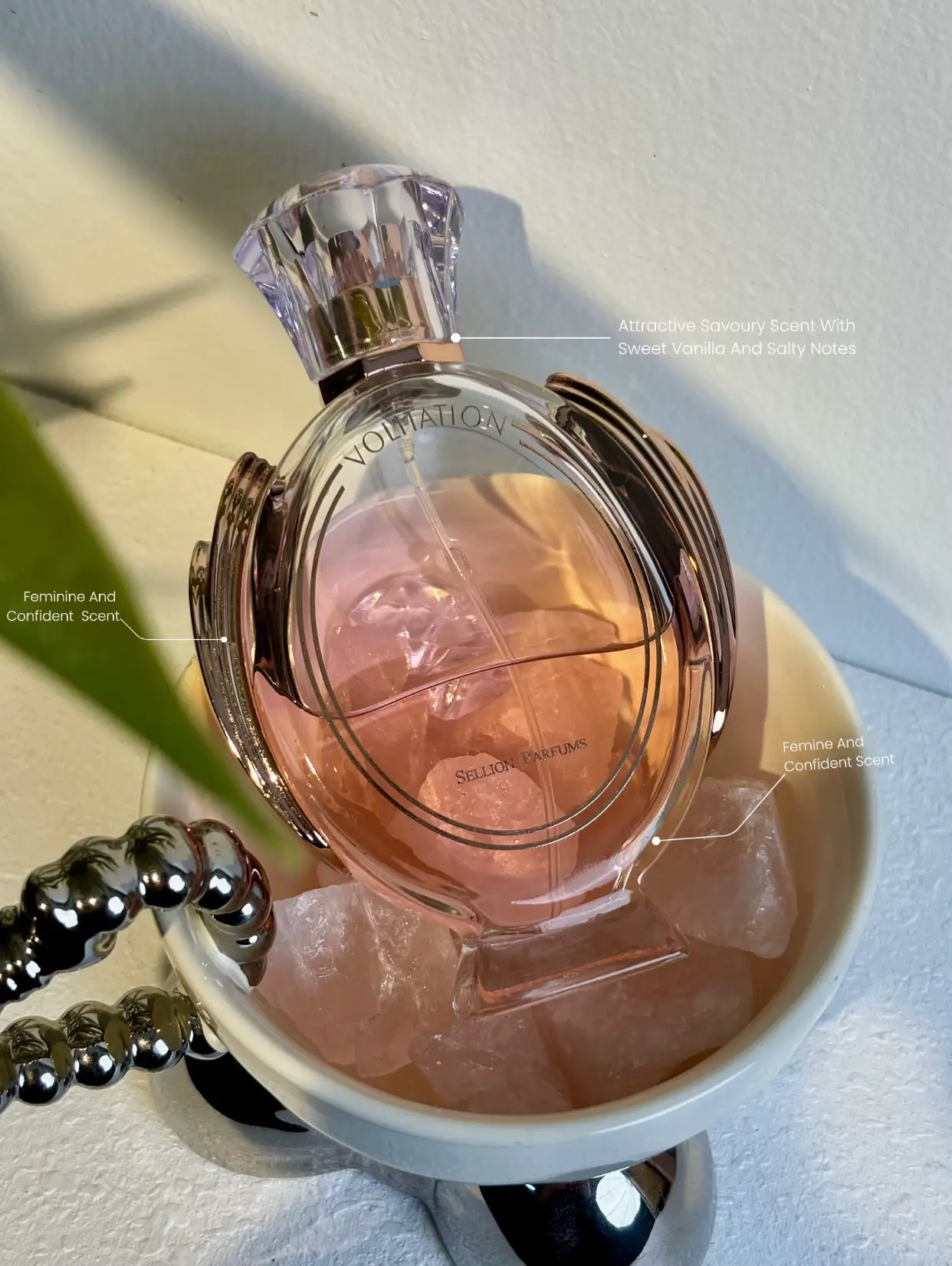 Perfect parfum yang sesuai untuk kegunaan harian💃💗 | Galeri disiarkan ...