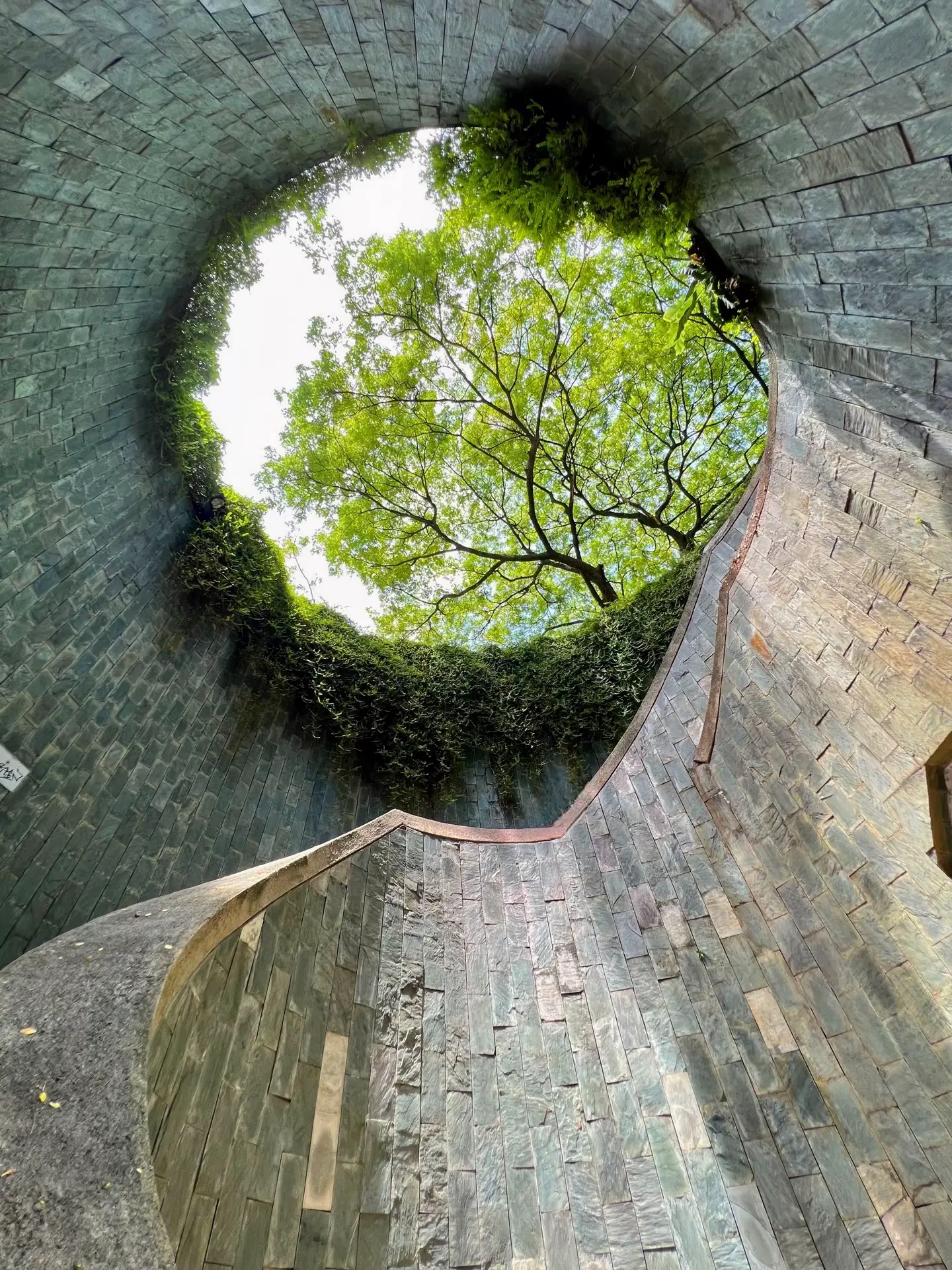 Fort Canning Park 🌳🌿 @Singapore | แกลเลอรีที่โพสต์โดย เที่ยวไปเรื่อย ...